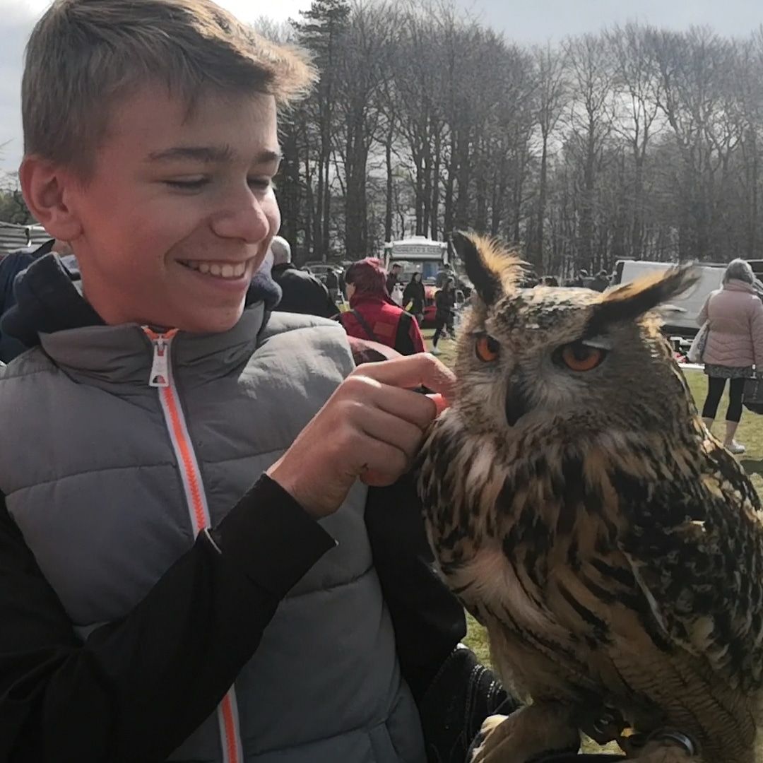 Holding a eurasian eagle owl!! | Scrolller