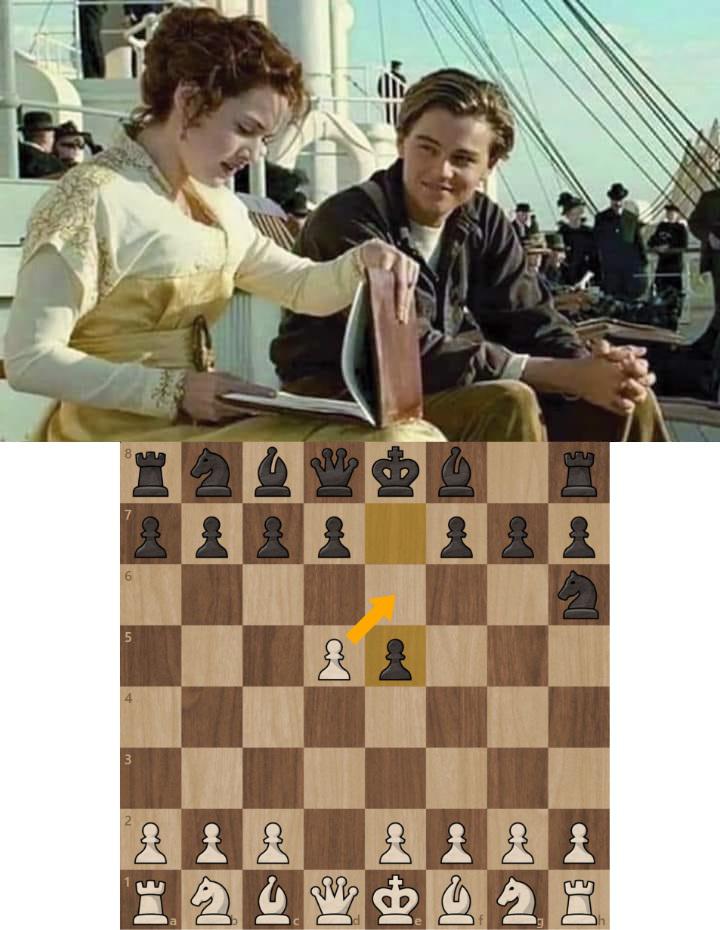 holy hell | Scrolller