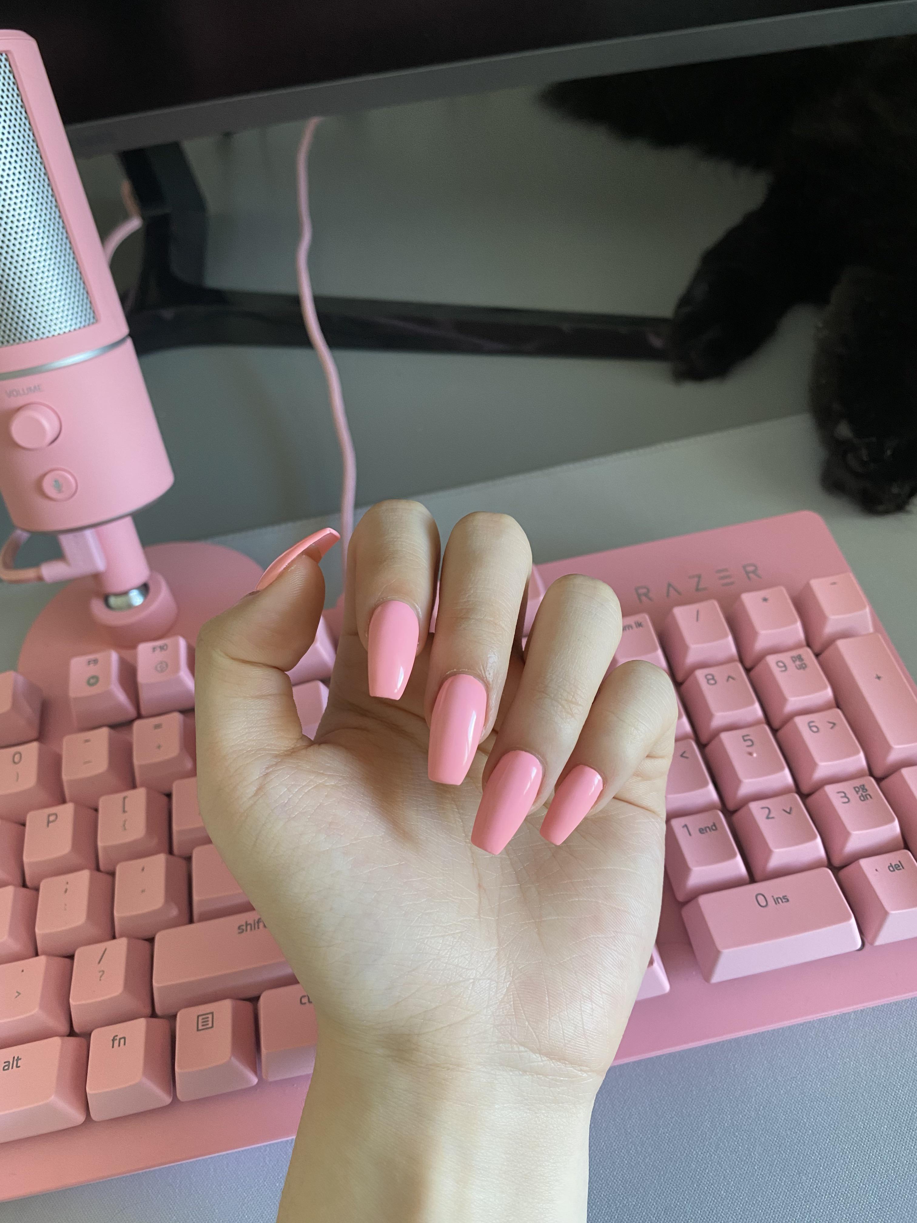 Holy moly 😍 | Scrolller