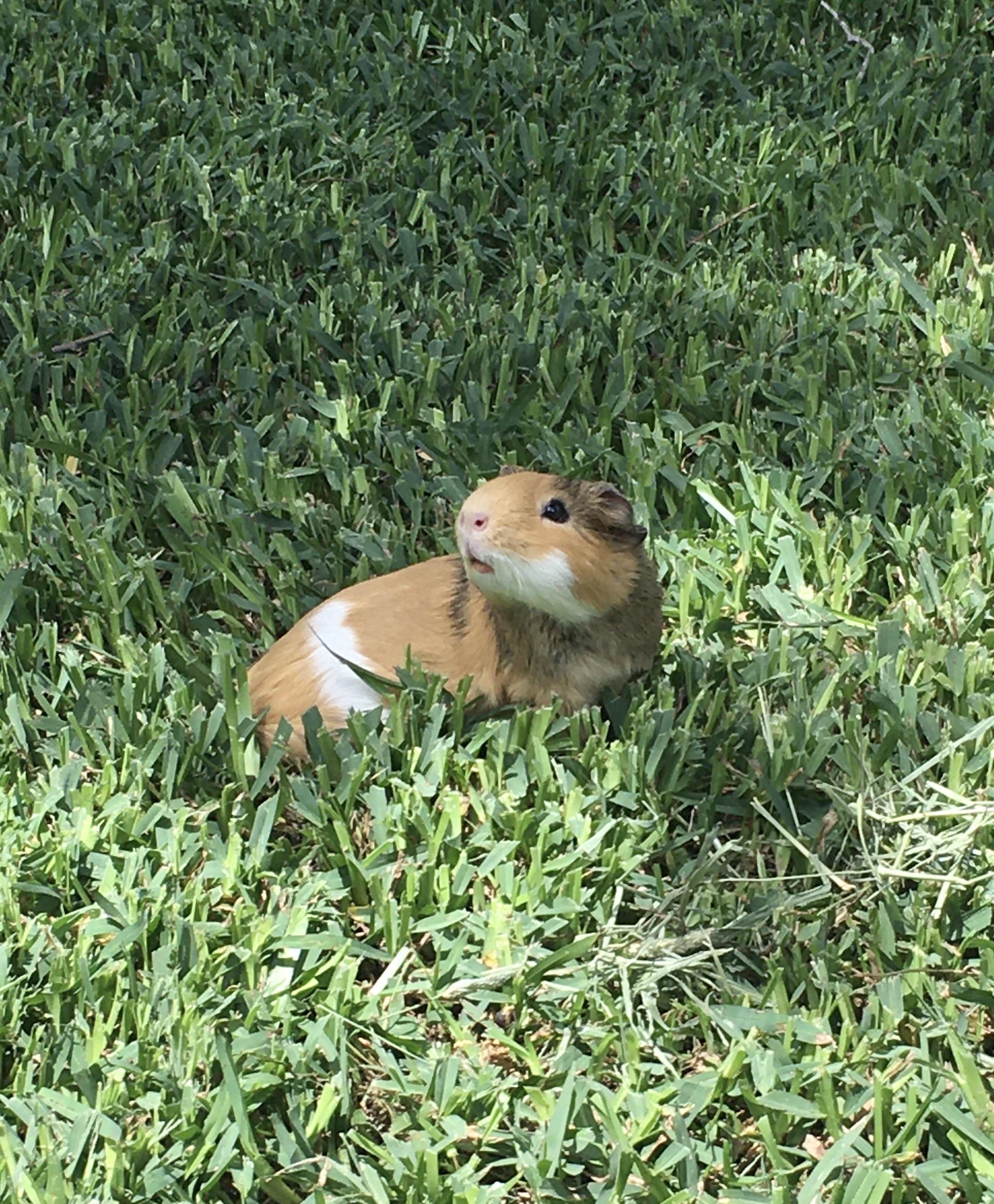 Home, home on the range… | Scrolller