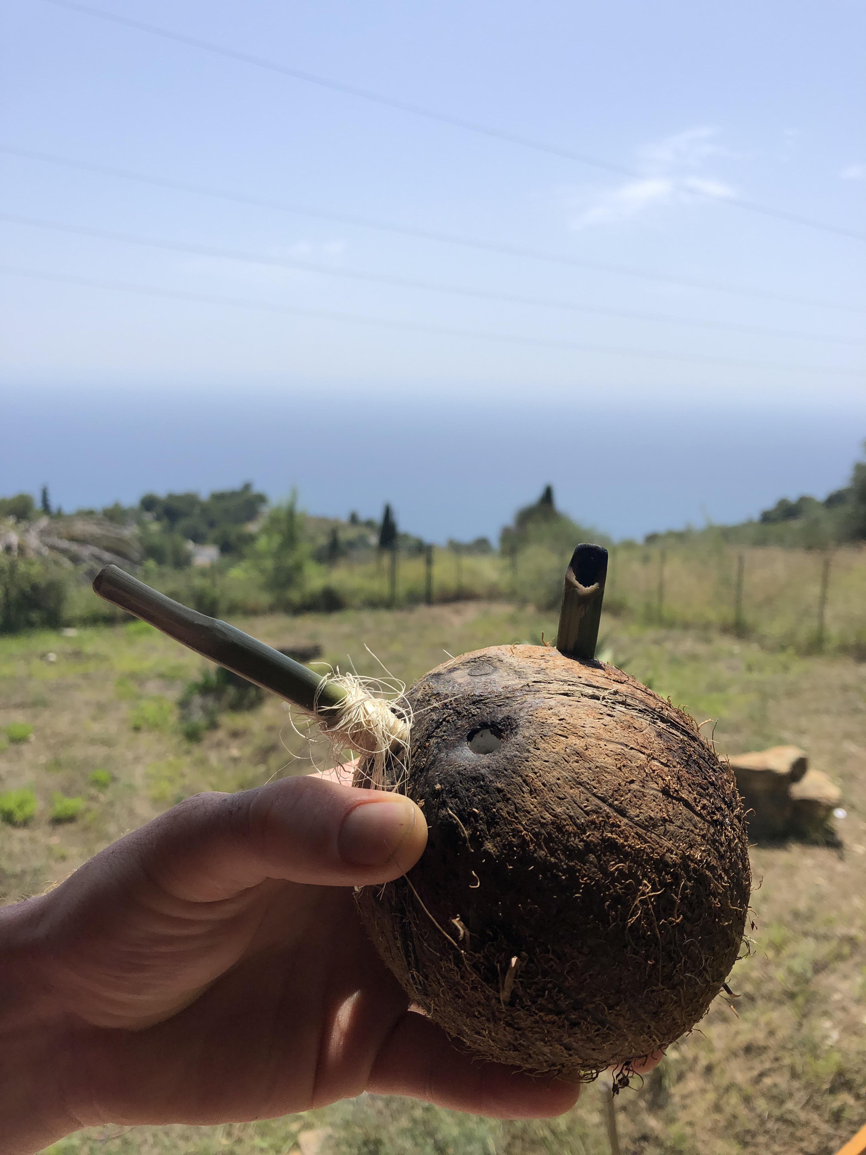 Homemade coconut bamboo bong, vacation edition | Scrolller