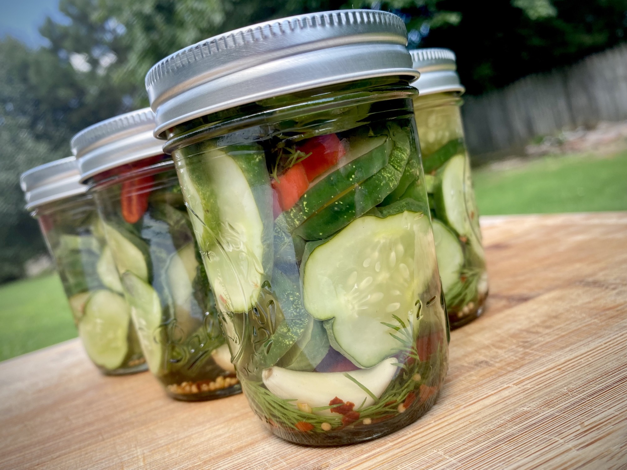 [Homemade] Habanero-Dill Pickle Chips | Scrolller