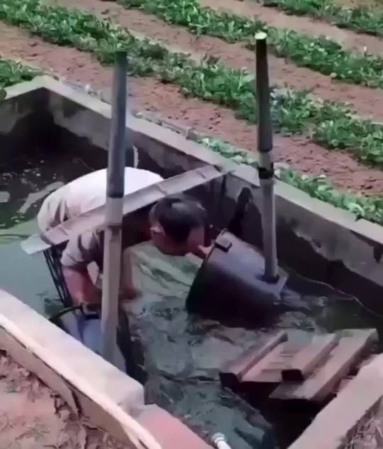 Homemade plant watering harness | Scrolller