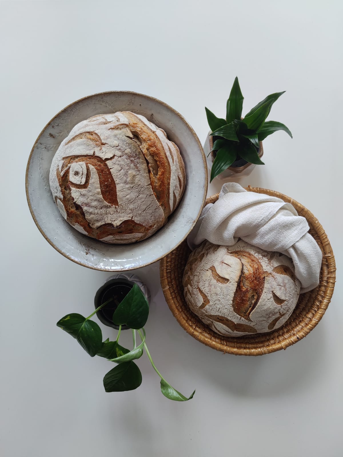[Homemade] Sourdough breads | Scrolller