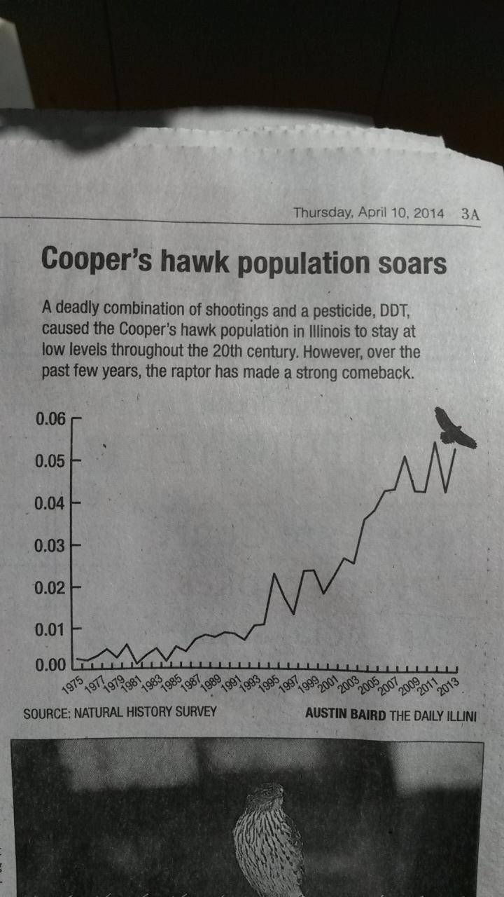 Hooray! We're up to 0.06... hawks? | Scrolller