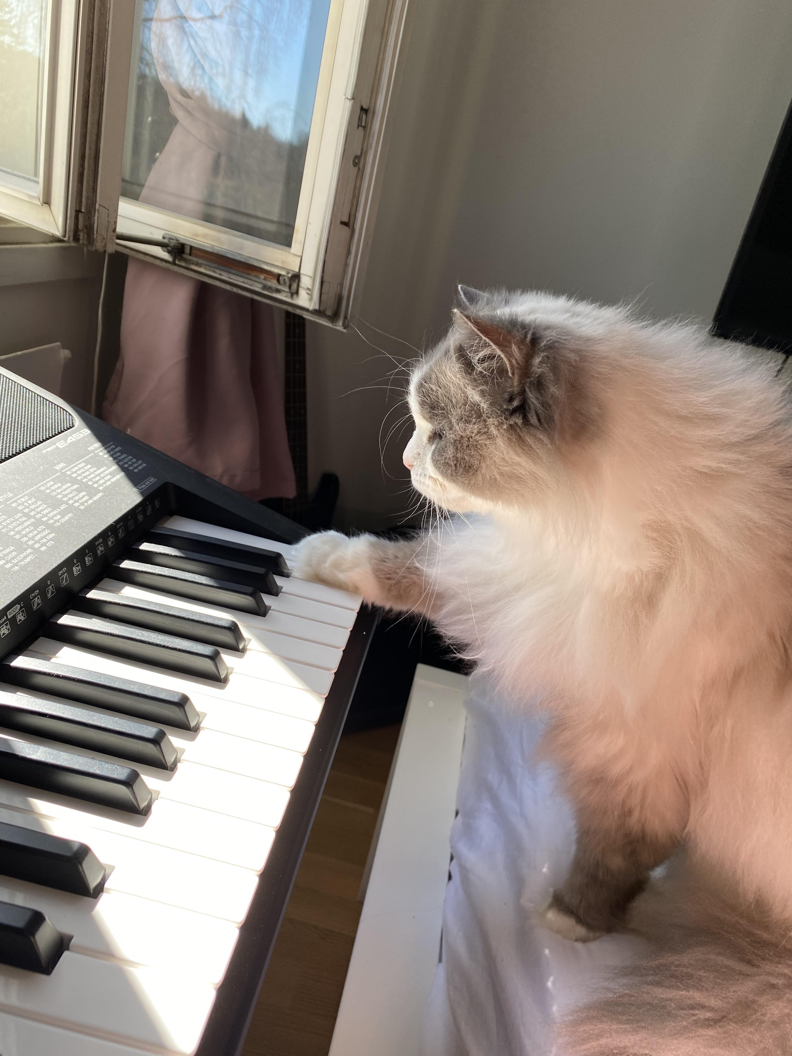 Hop on this beat | Scrolller