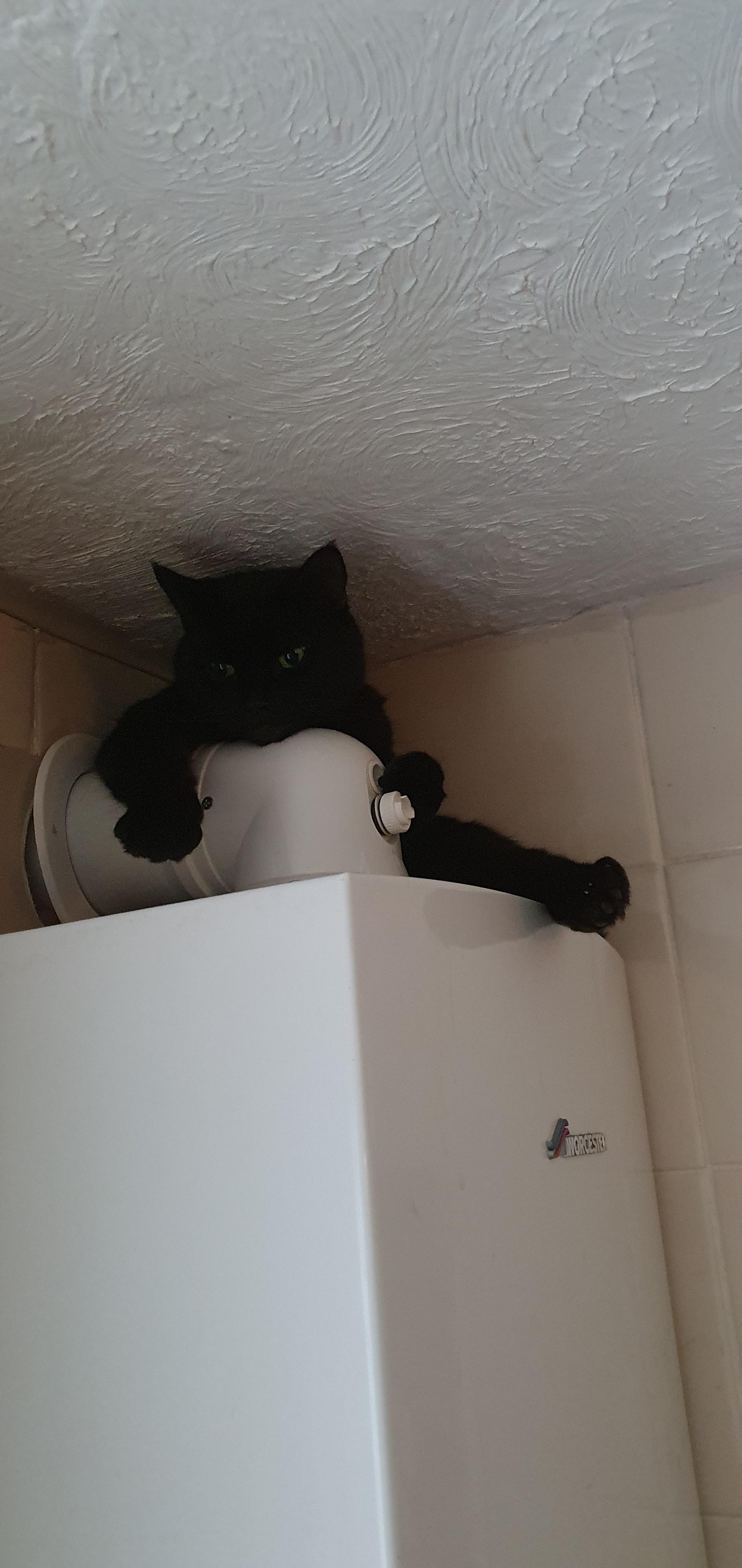 Hope this counts | Scrolller