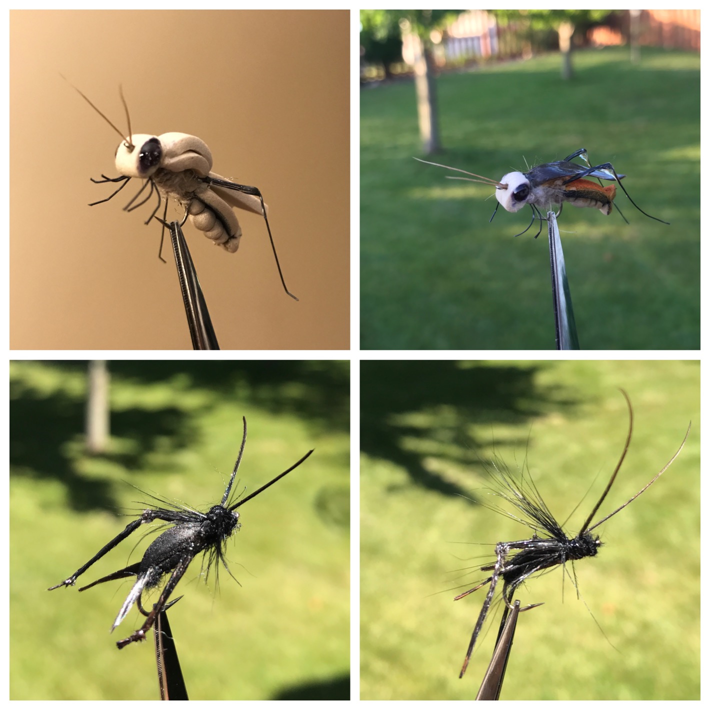 Hoppers and crickets | Scrolller