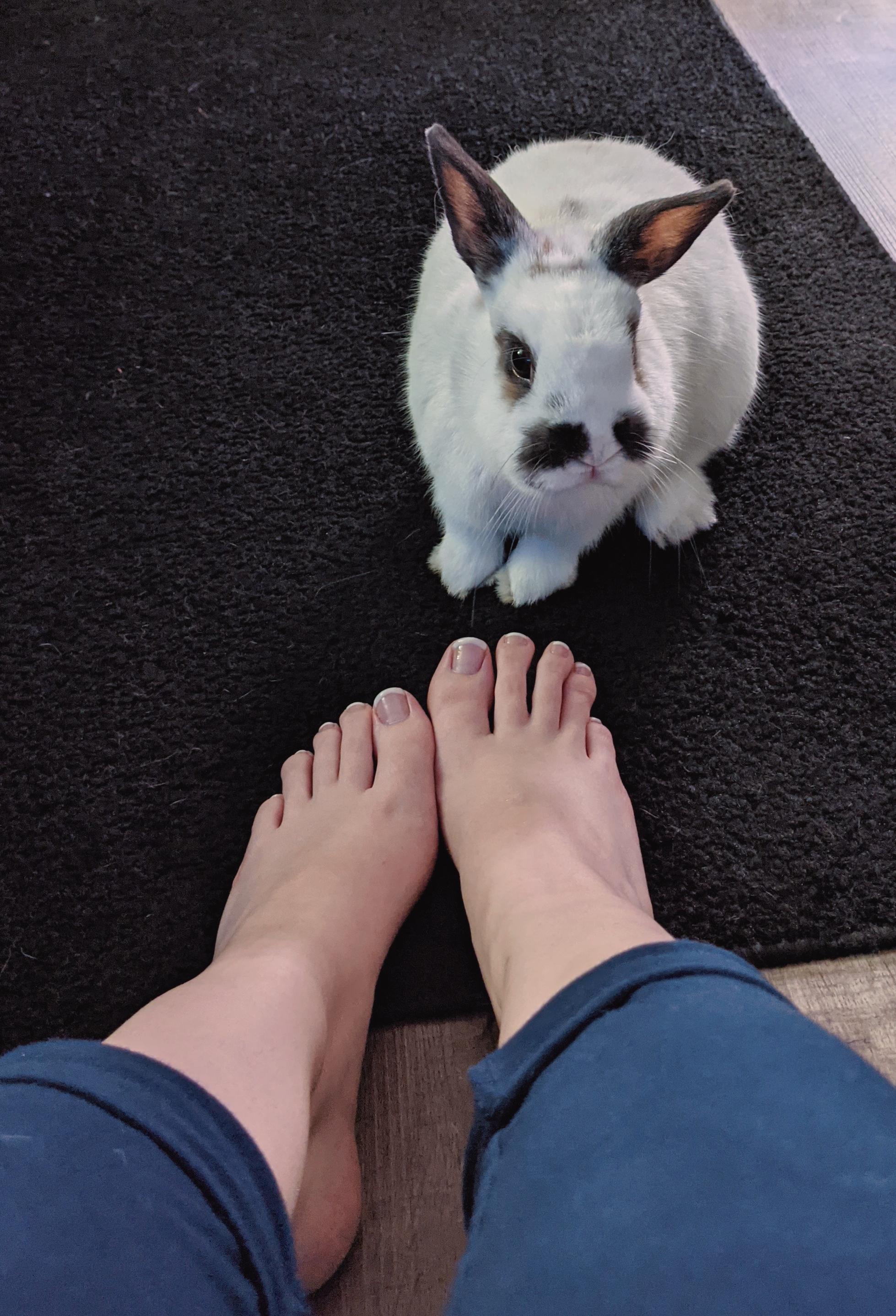 Hoppy Easter from my bun to yours. | Scrolller