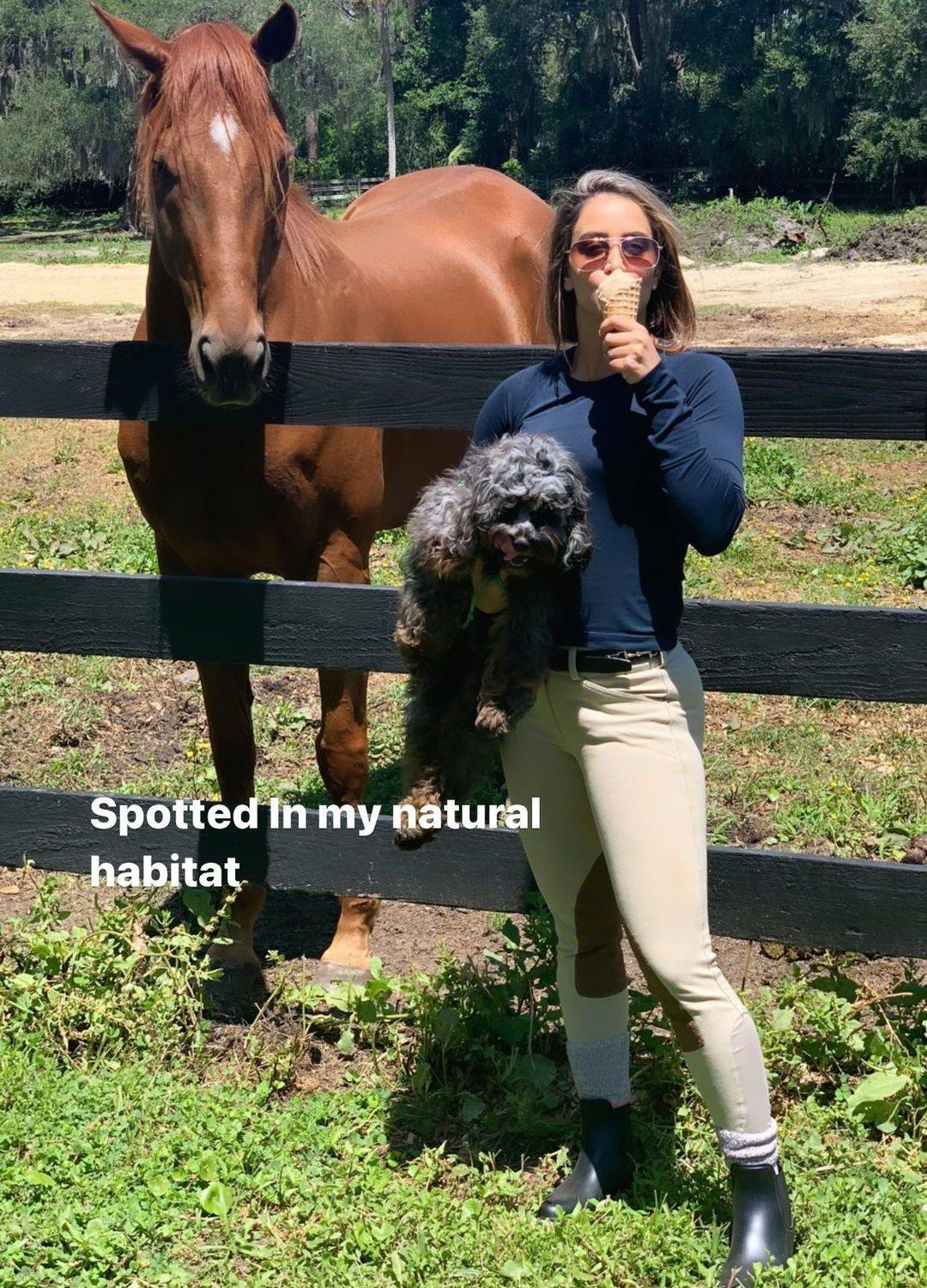 Horsegirl Aliyah | Scrolller