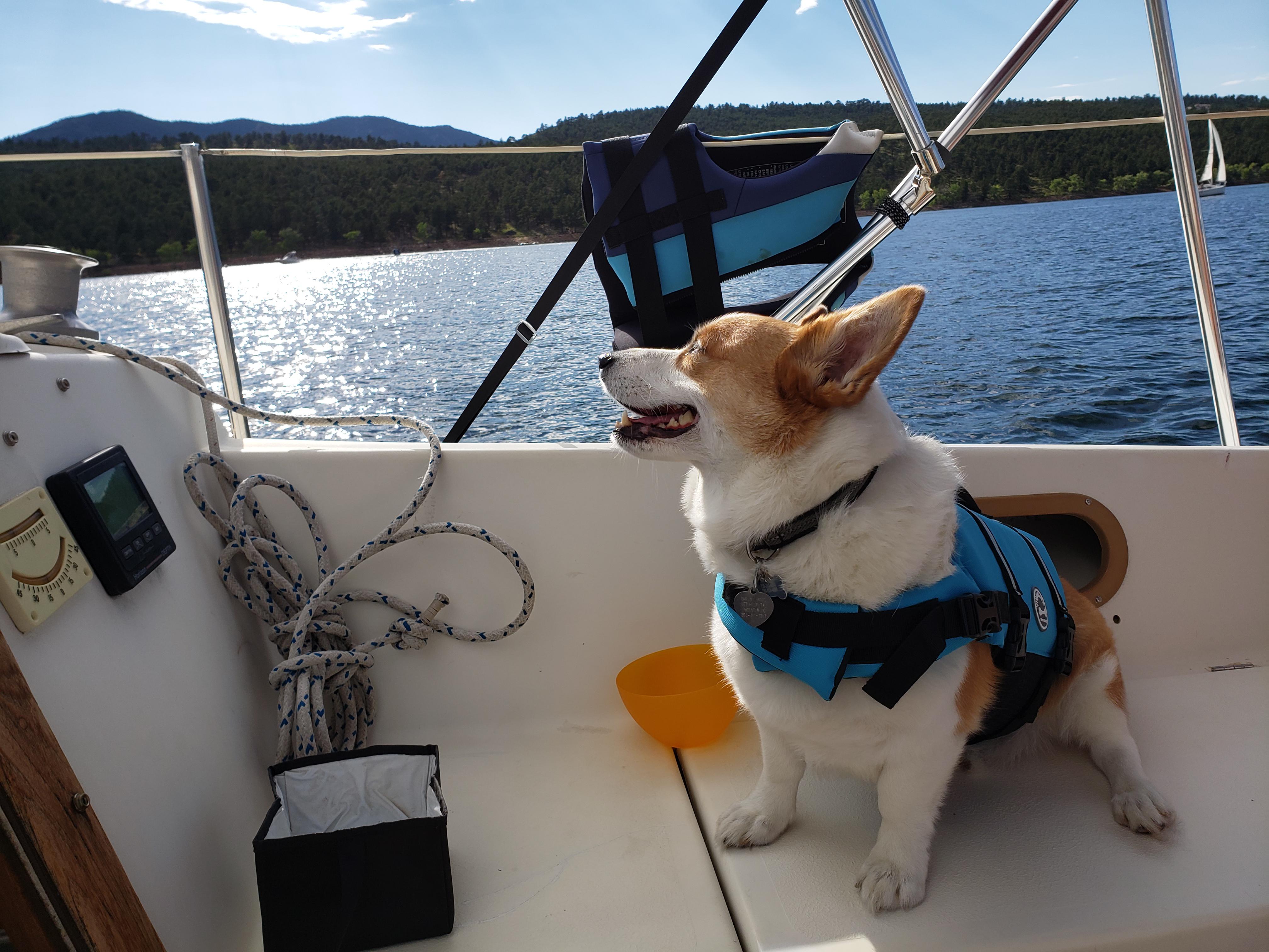 How about sailing in the foothills, does that count? | Scrolller