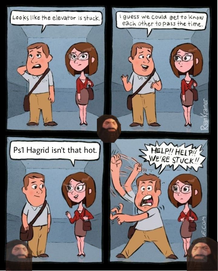 How dare you! | Scrolller