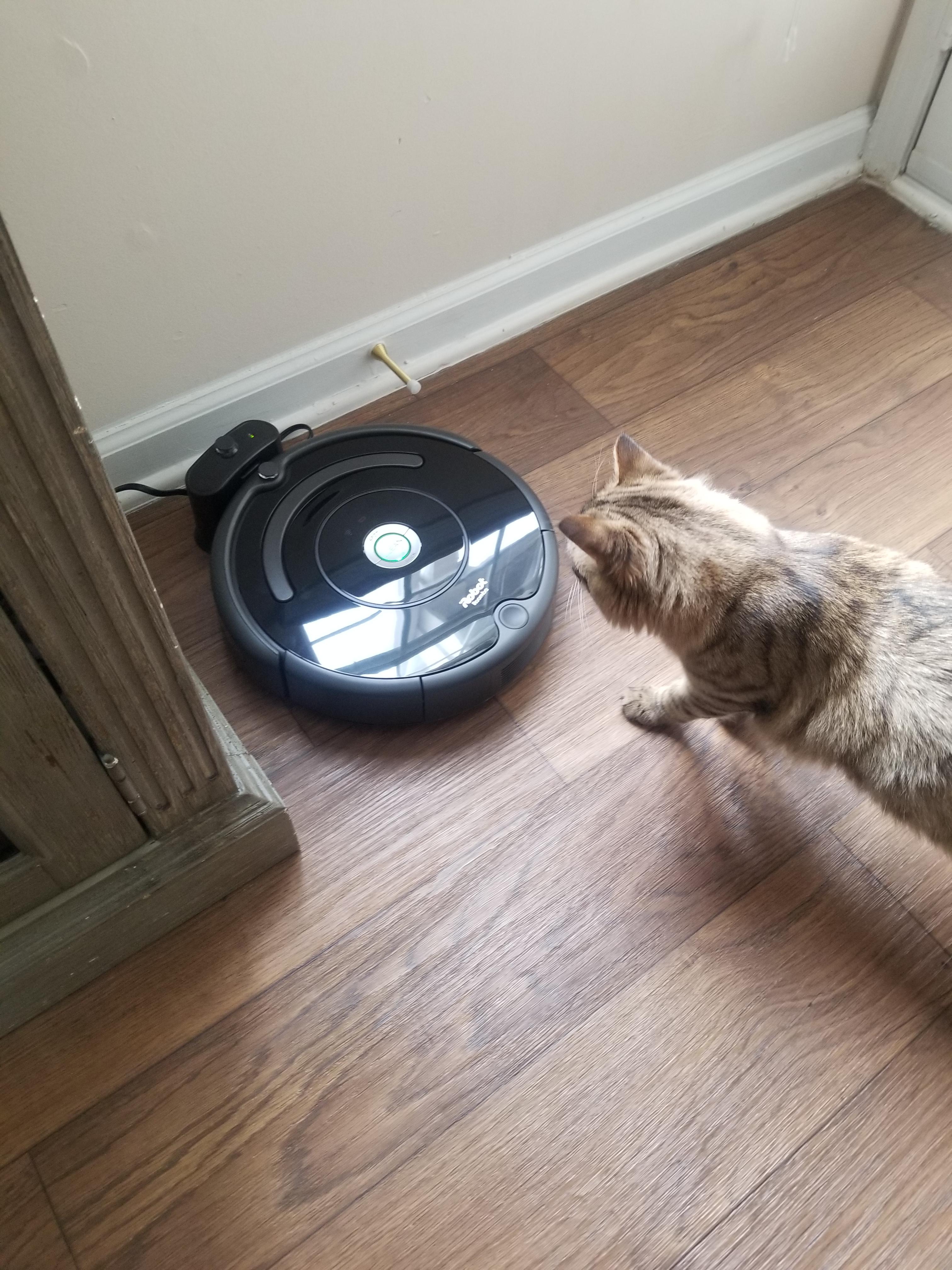 How do I find the MAC address on the Roomba 675??? | Scrolller