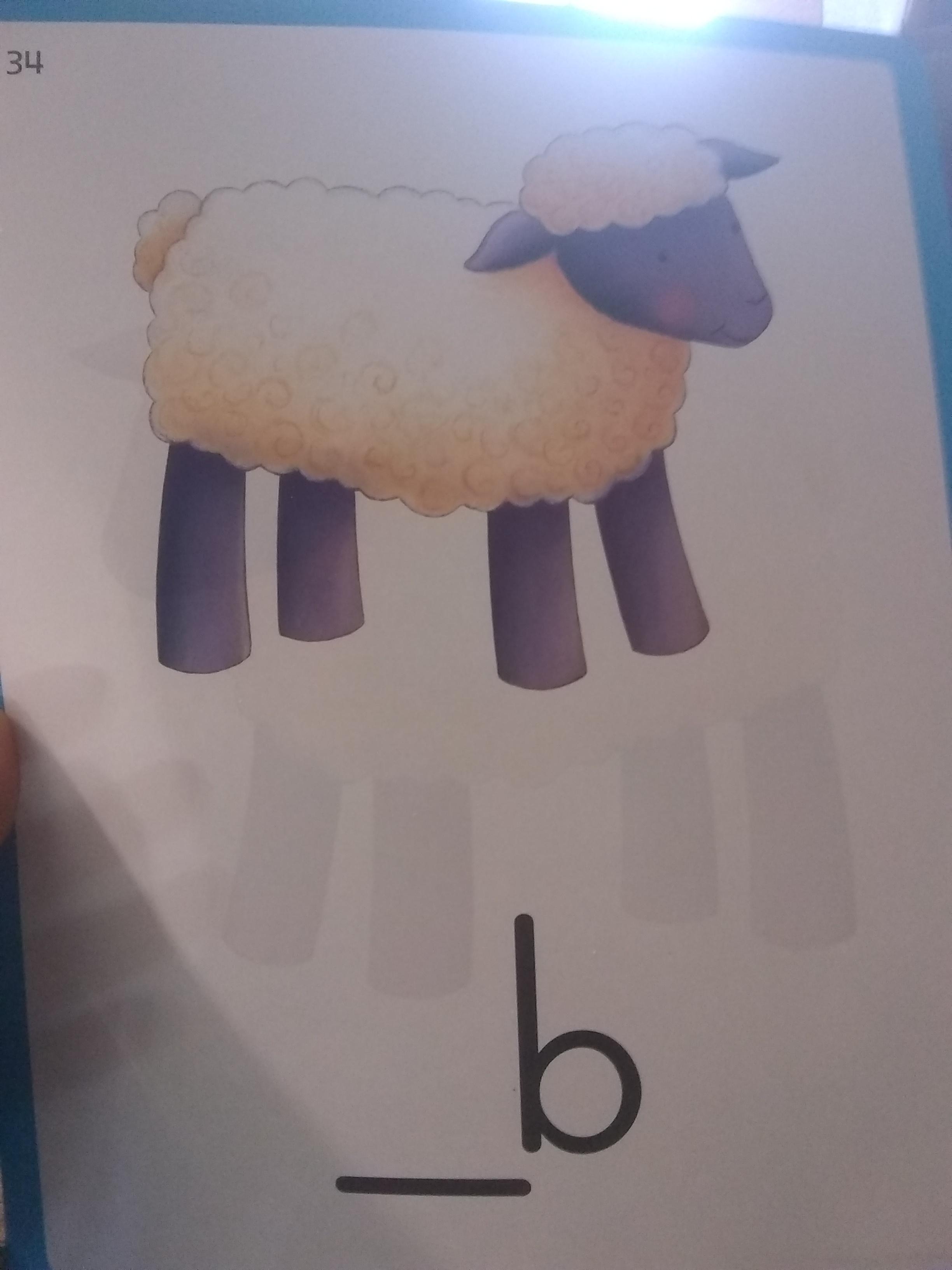How do I spell sheep or lamb with 2 letters | Scrolller