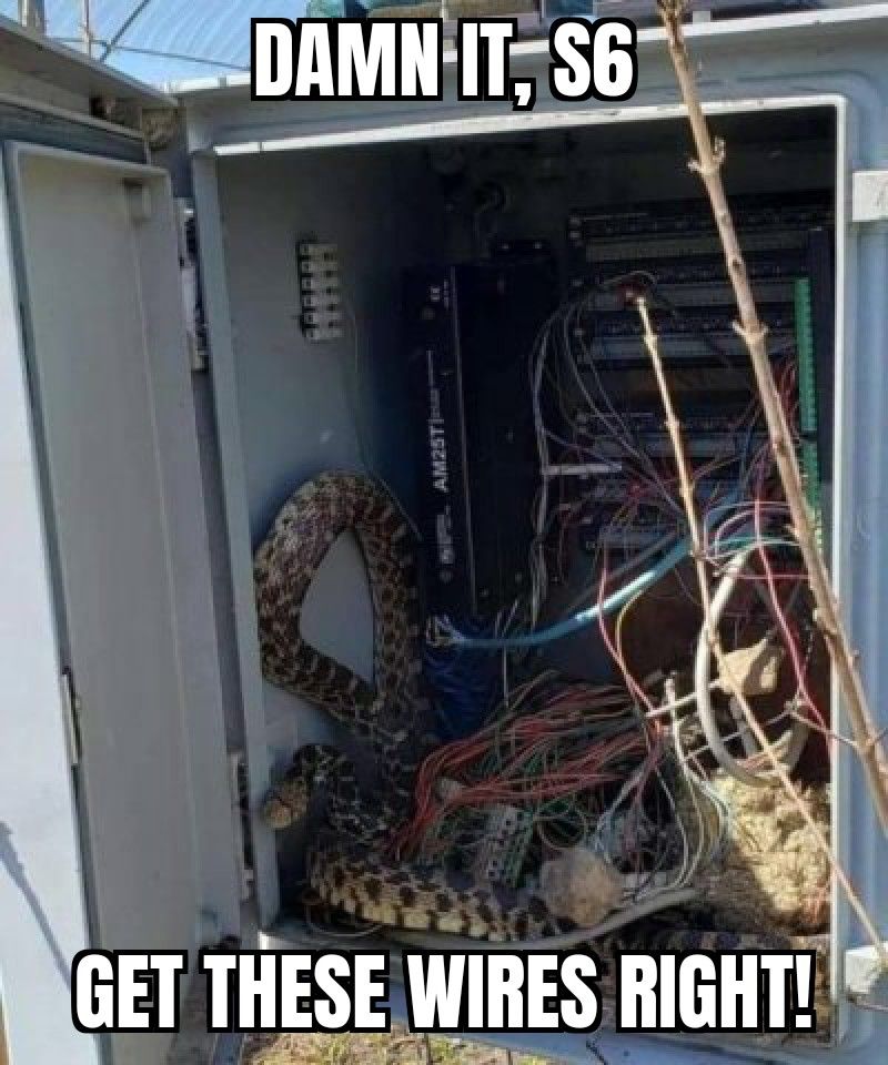 How every field exercise starts | Scrolller