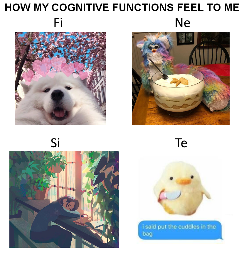 How I feel about my cognitive functions as an INFP | Scrolller