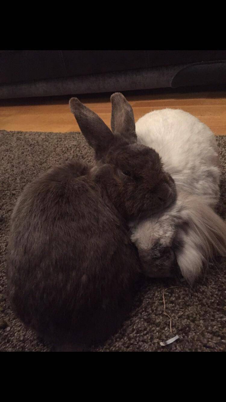 How is he comfortable? | Scrolller