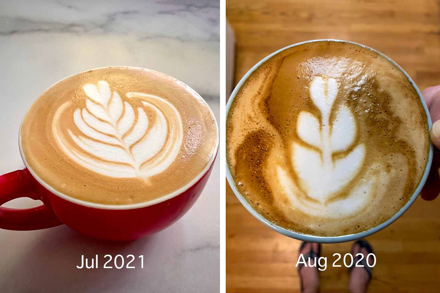 How it started - how it's going | Scrolller