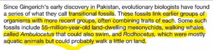 How my science teacher highlights this paragraph | Scrolller