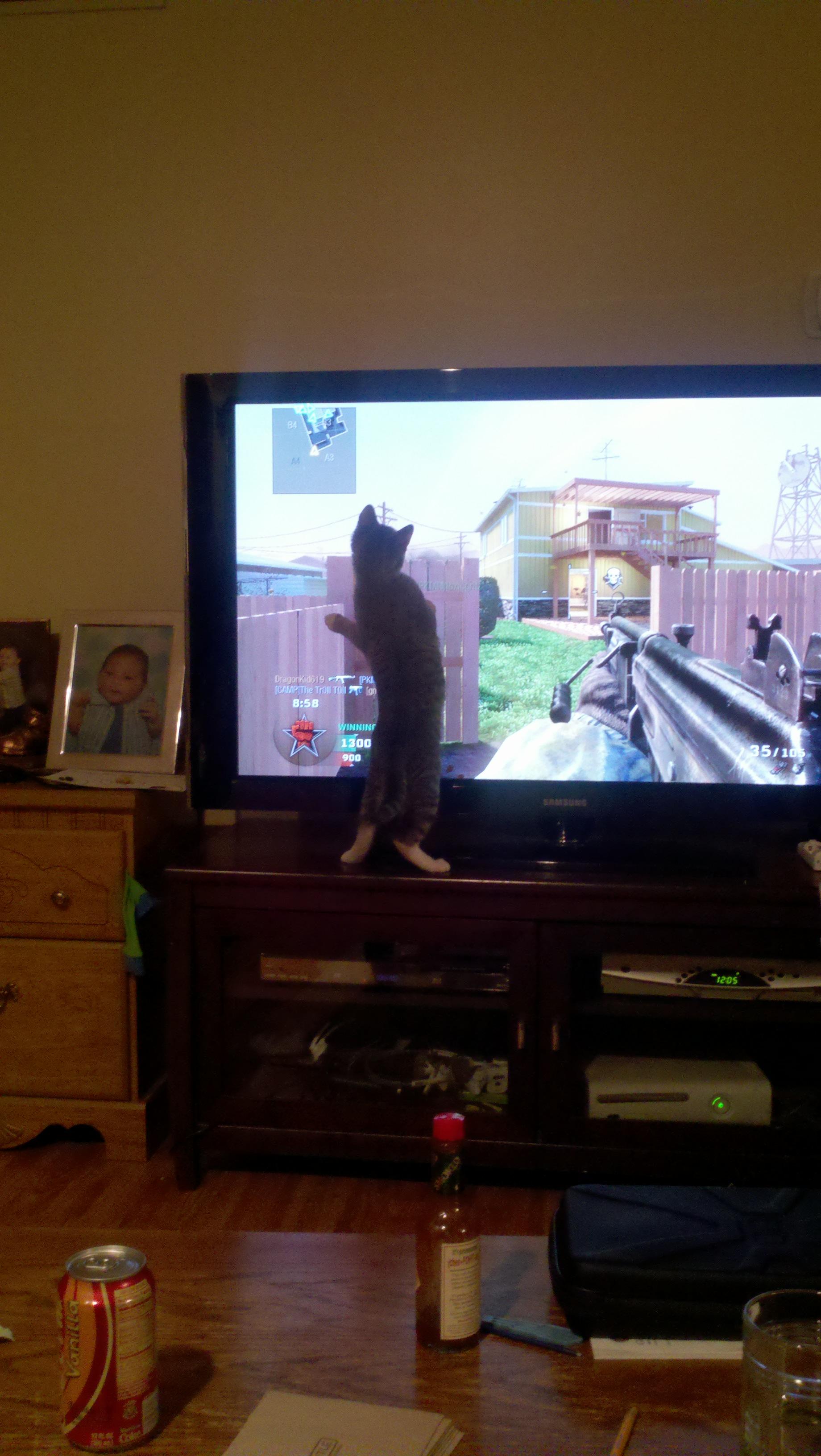 How to avoid a spawntrap on Nuketown | Scrolller