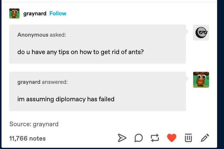 How to get rid of ants | Scrolller