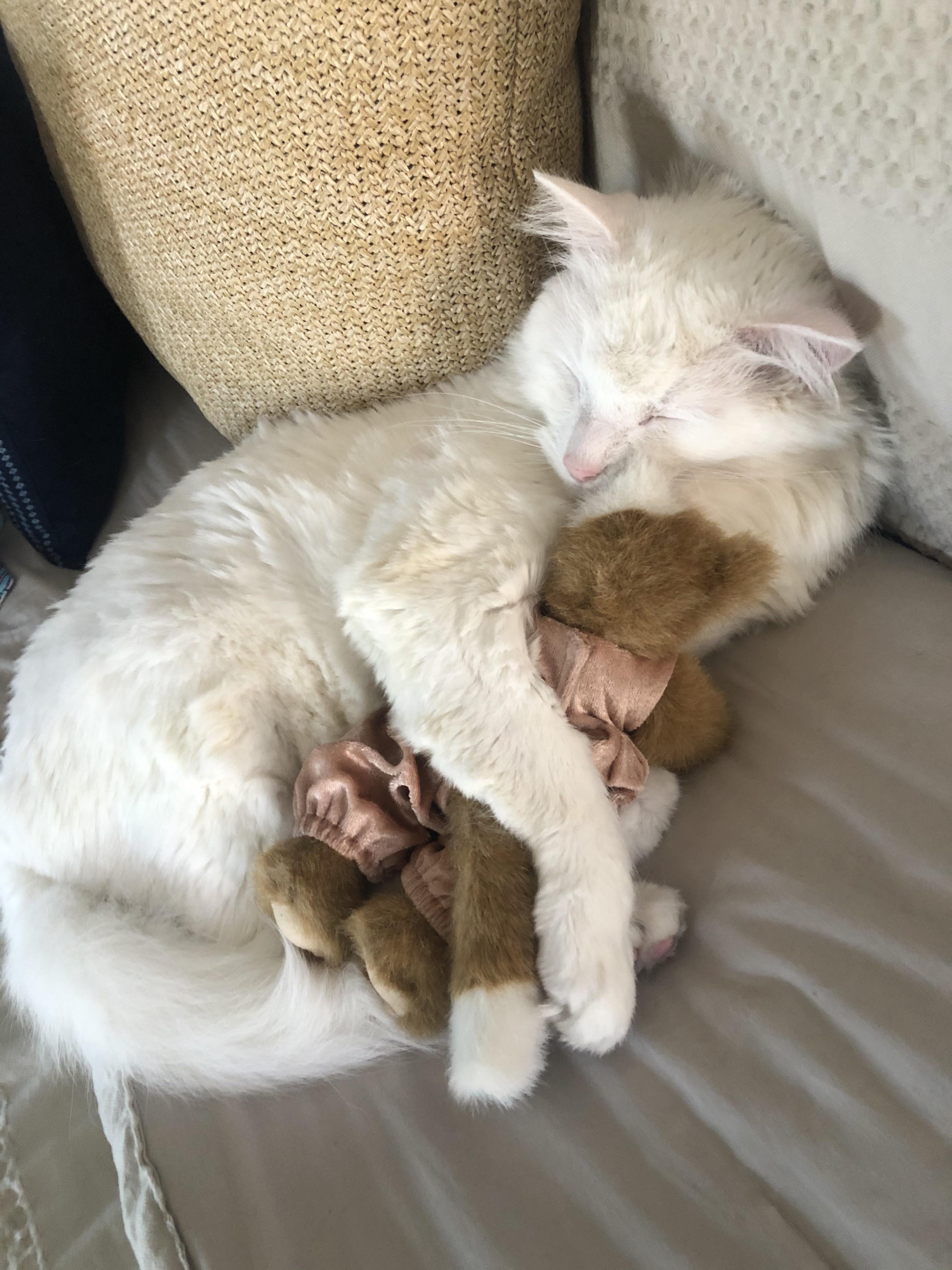 Howard and his stuffed animal! | Scrolller