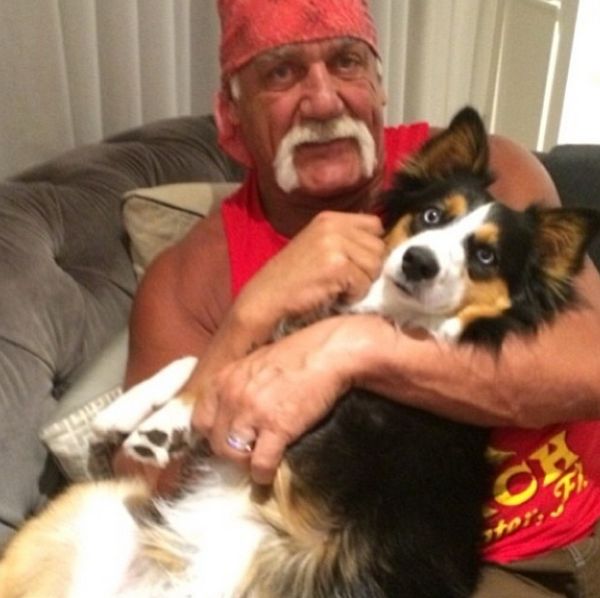 Hulk Hogan hanging out with The Big Dog | Scrolller