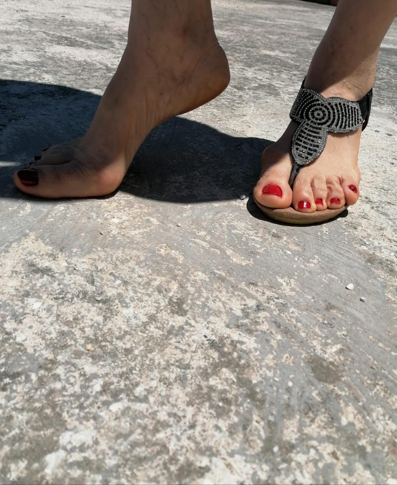 Human Anatomy Scrolller