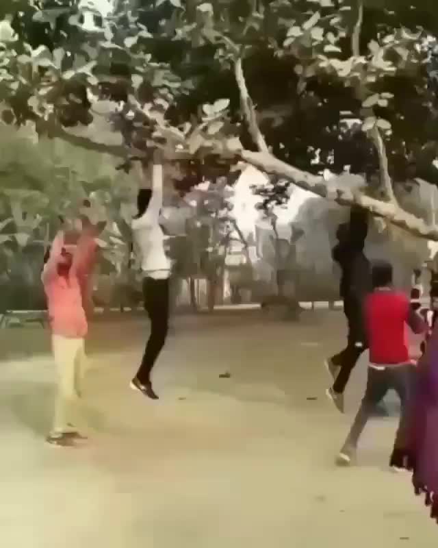 Human Catapult | Scrolller