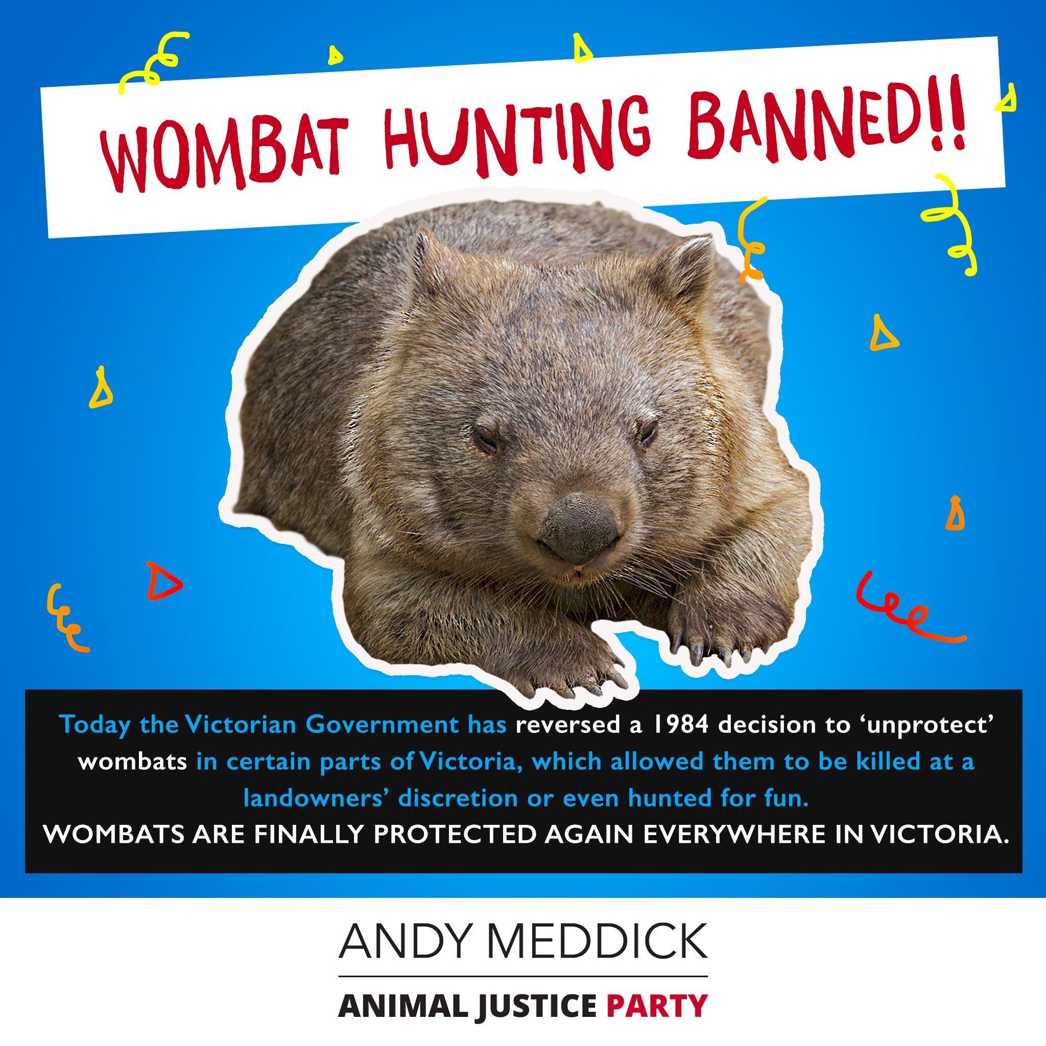 Hunting wombats has finally been banned in Victoria! | Scrolller