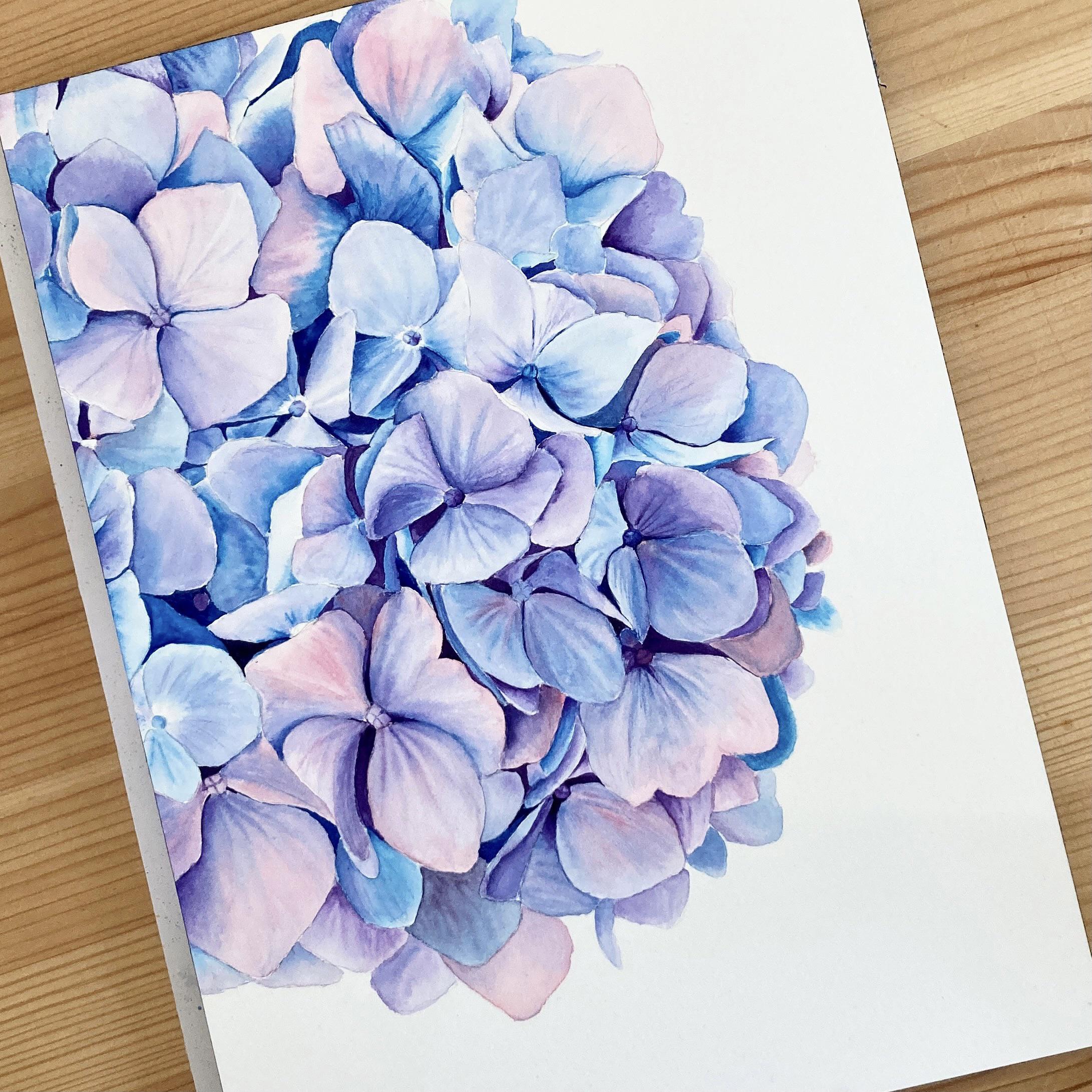Hydrangeas by me :) | Scrolller