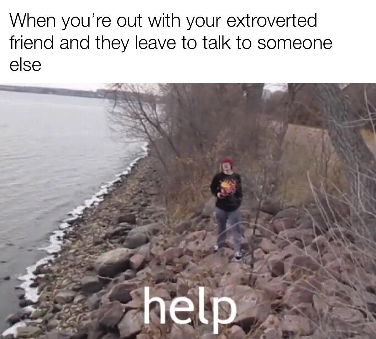 I am by no means an extrovert | Scrolller