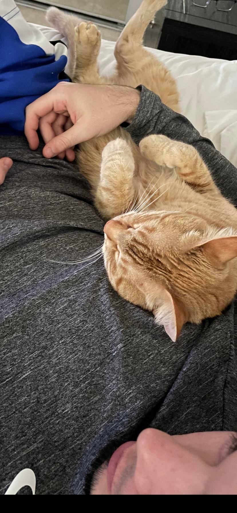 I am forced to lay here until he’s done with his nap | Scrolller