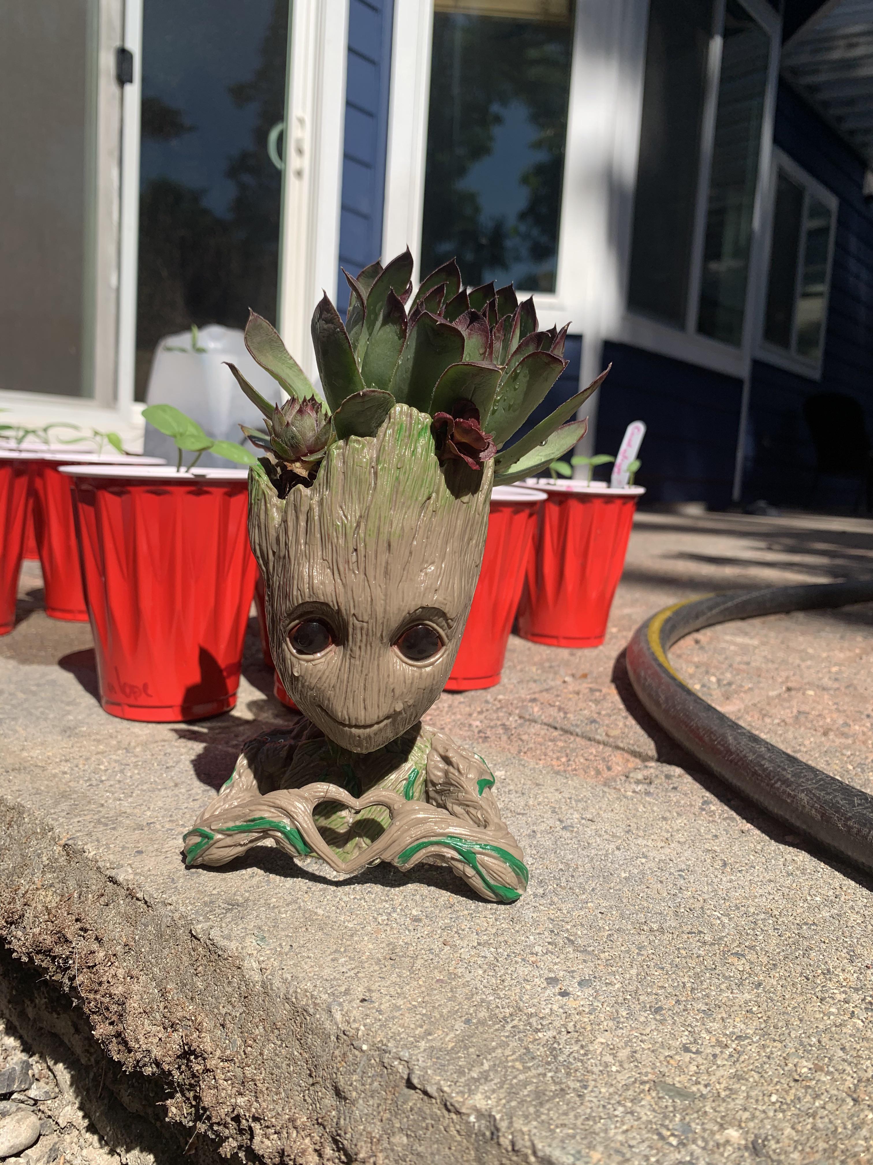 I am Groot. | Scrolller