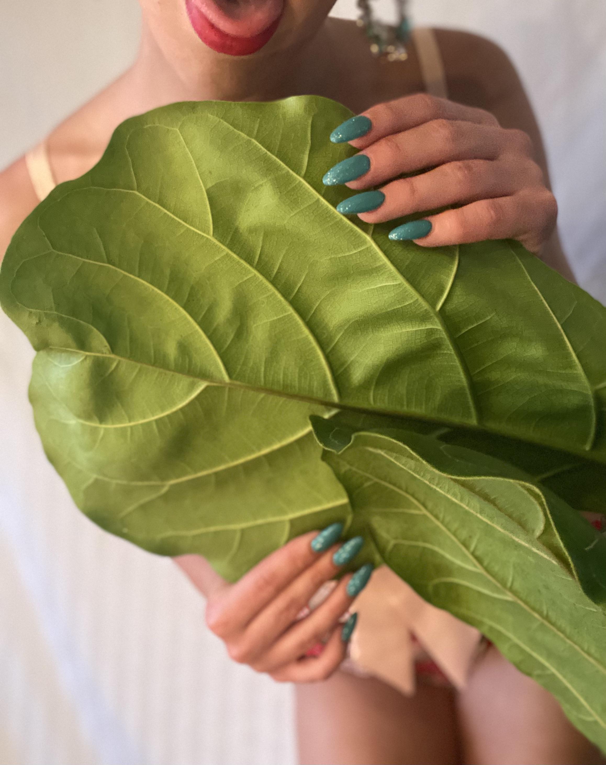 Edging my fiddleleaf | Scrolller