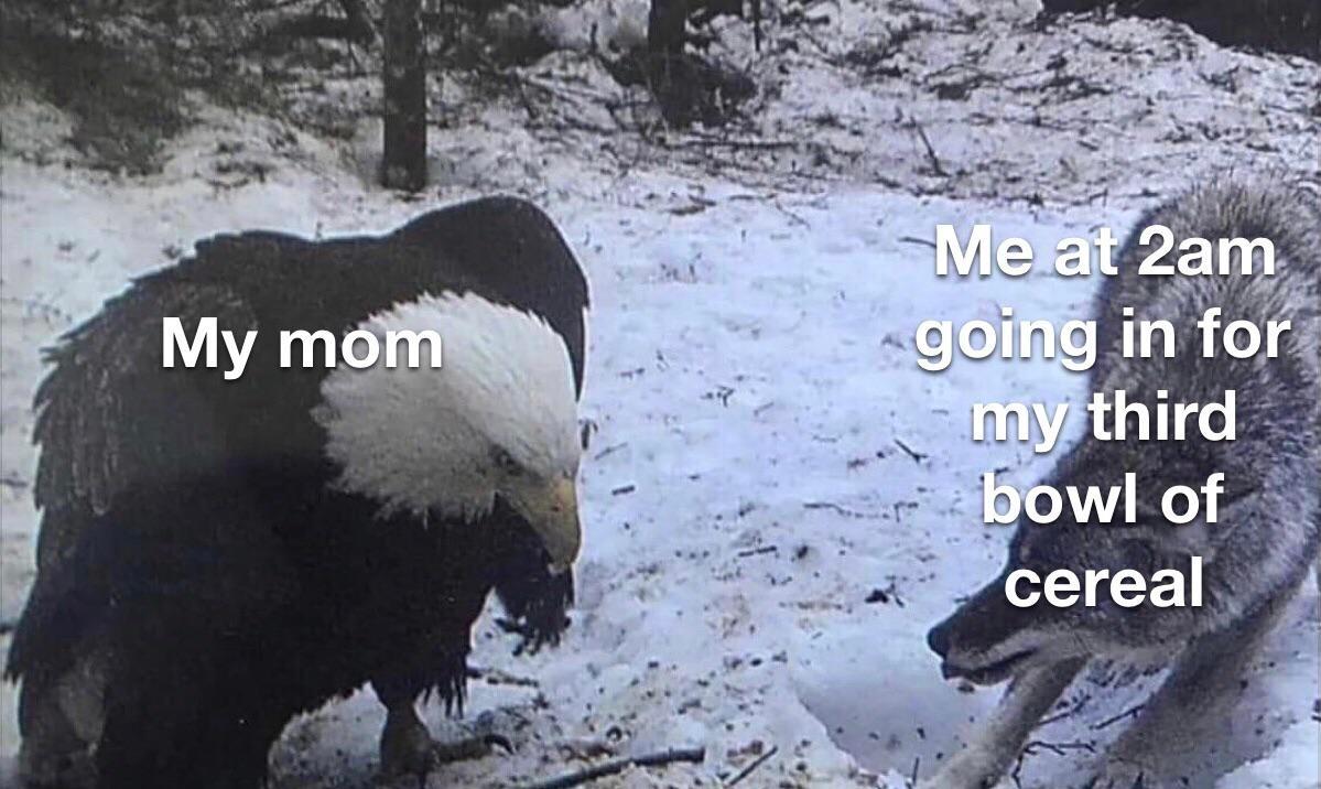 I can’t explain | Scrolller