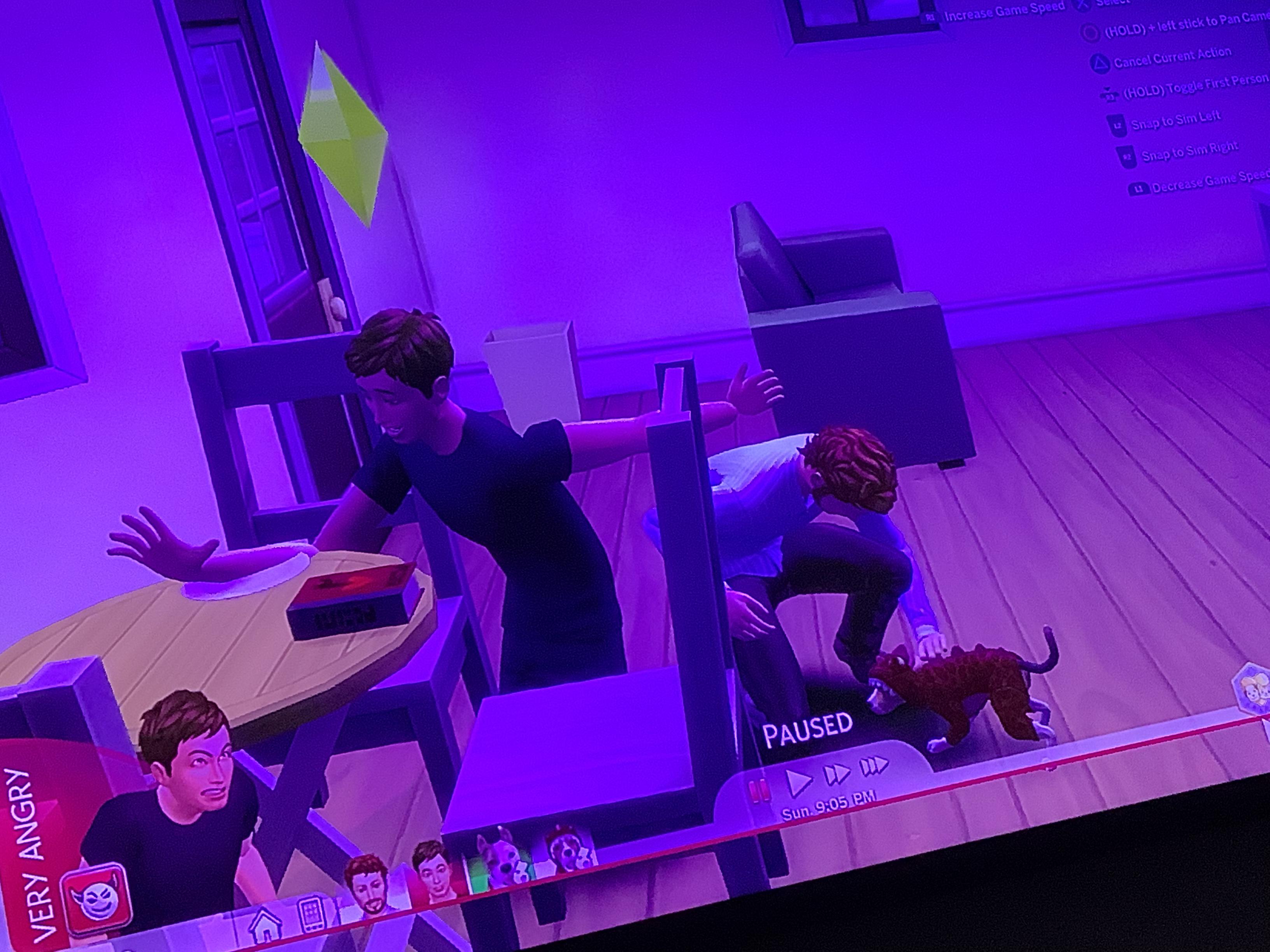 I can tell why my sim is so angry | Scrolller