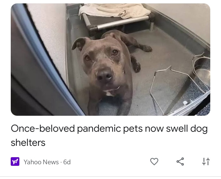 I can't bring myself to read the article. This is heartbreaking. | Scrolller