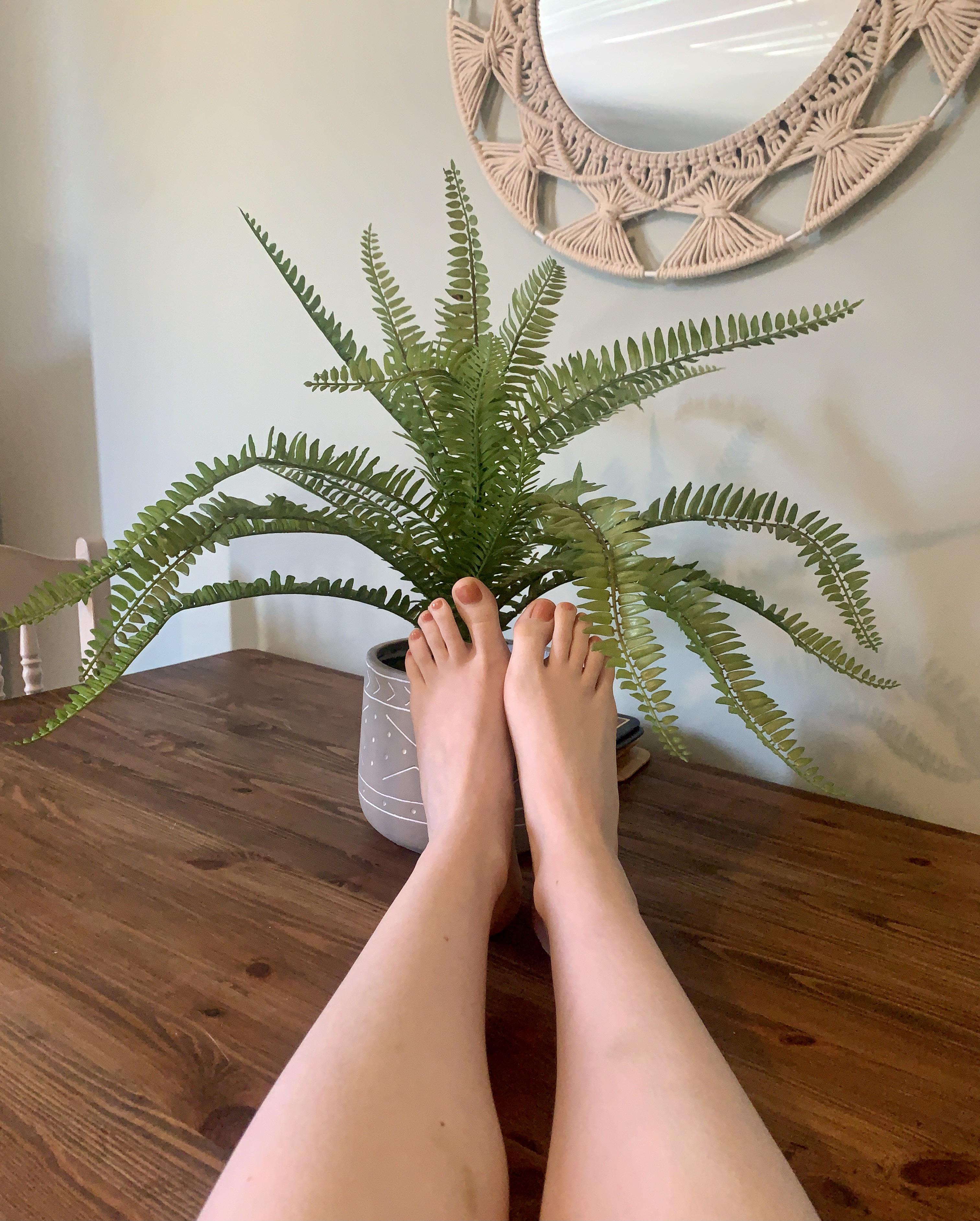 I demand you to massage my feet… 😈 | Scrolller