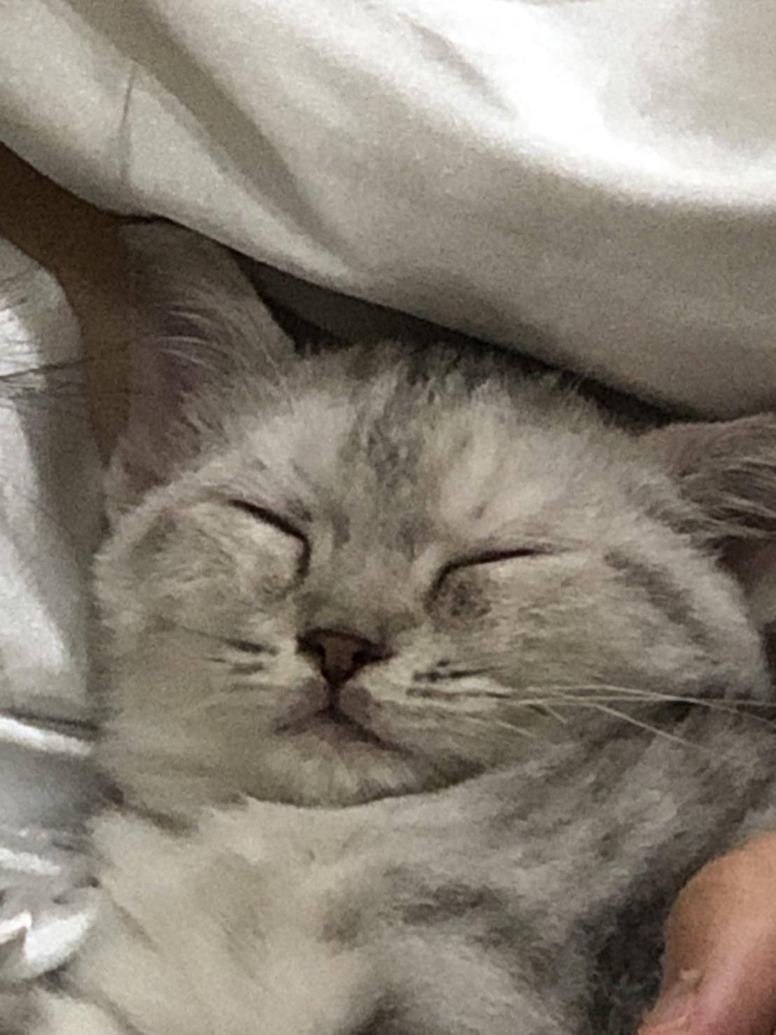 I don’t even know | Scrolller