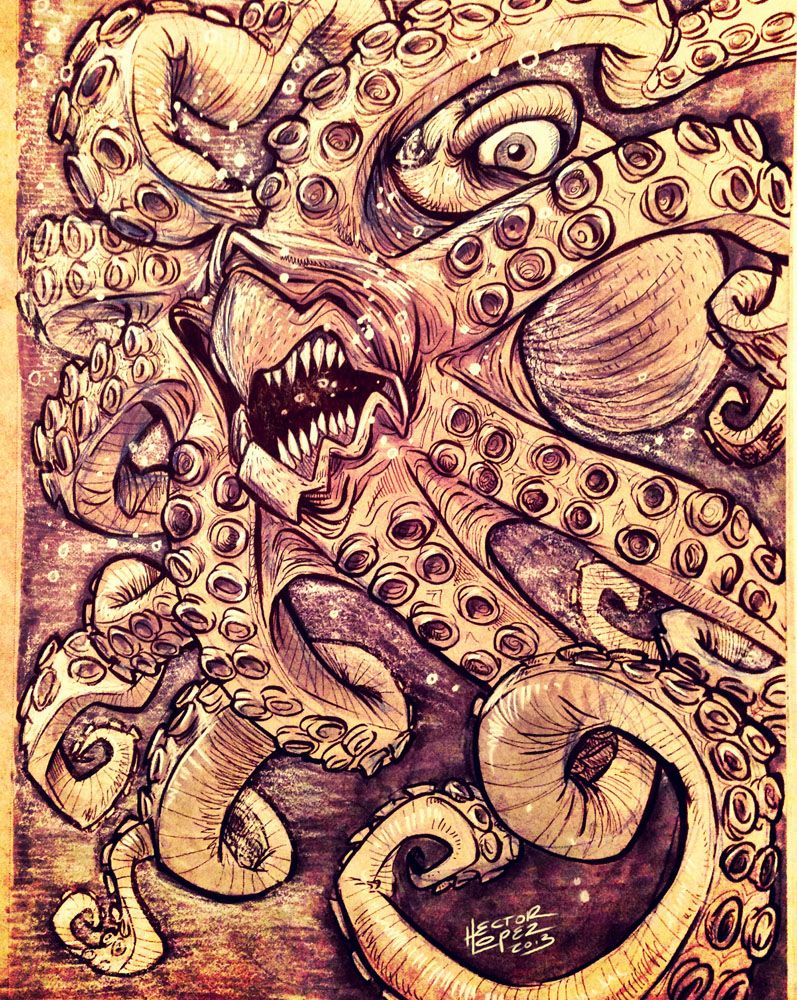 I drew an Octopus | Scrolller