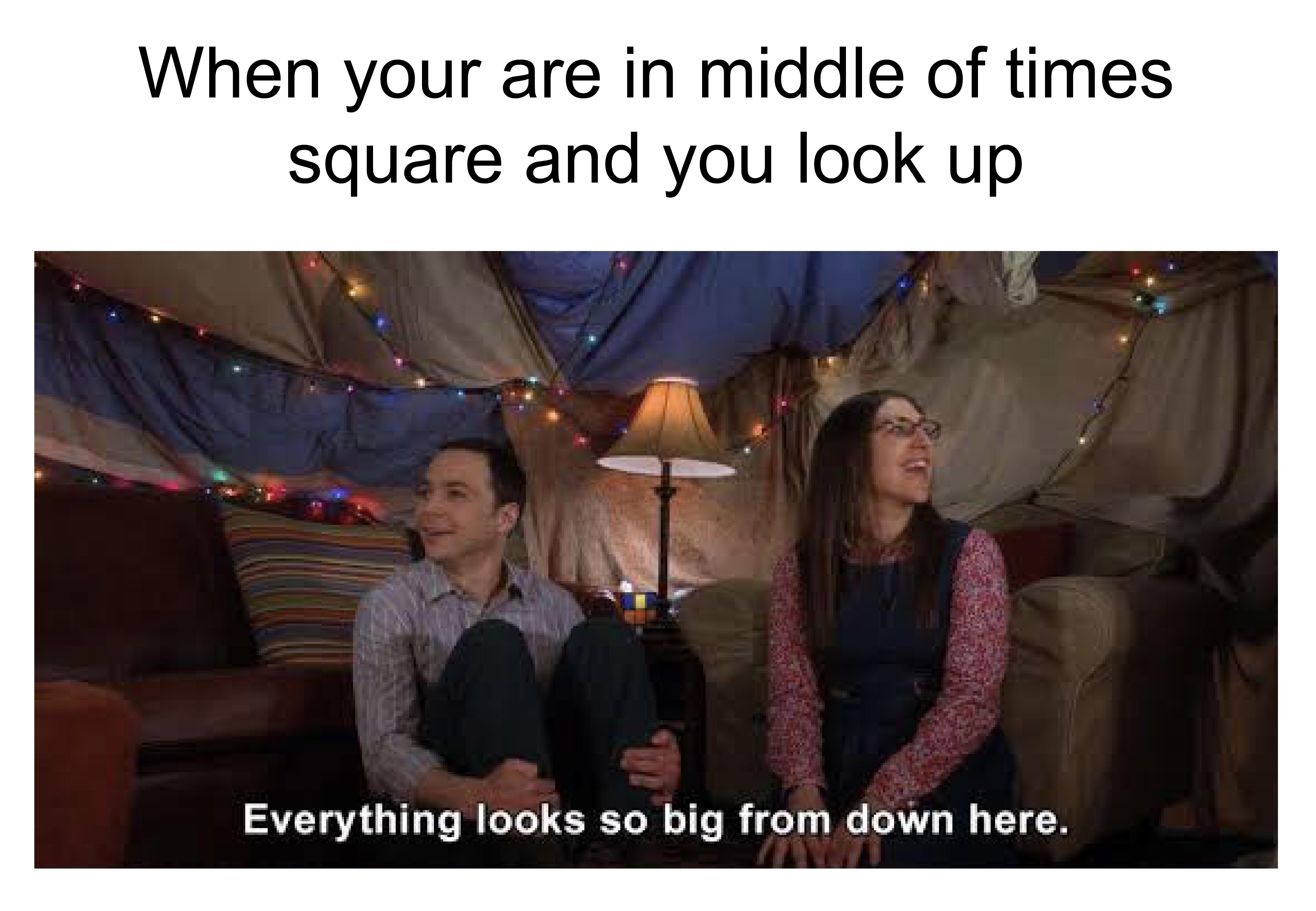 I feel like an ant | Scrolller