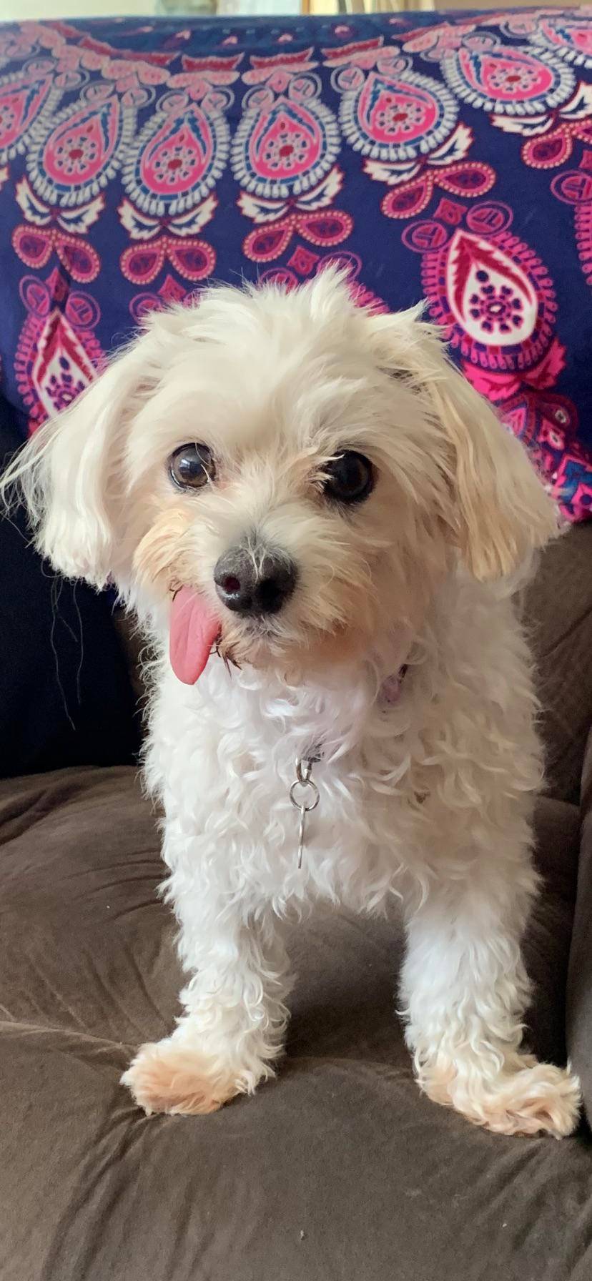 I get to babysit this little derp | Scrolller