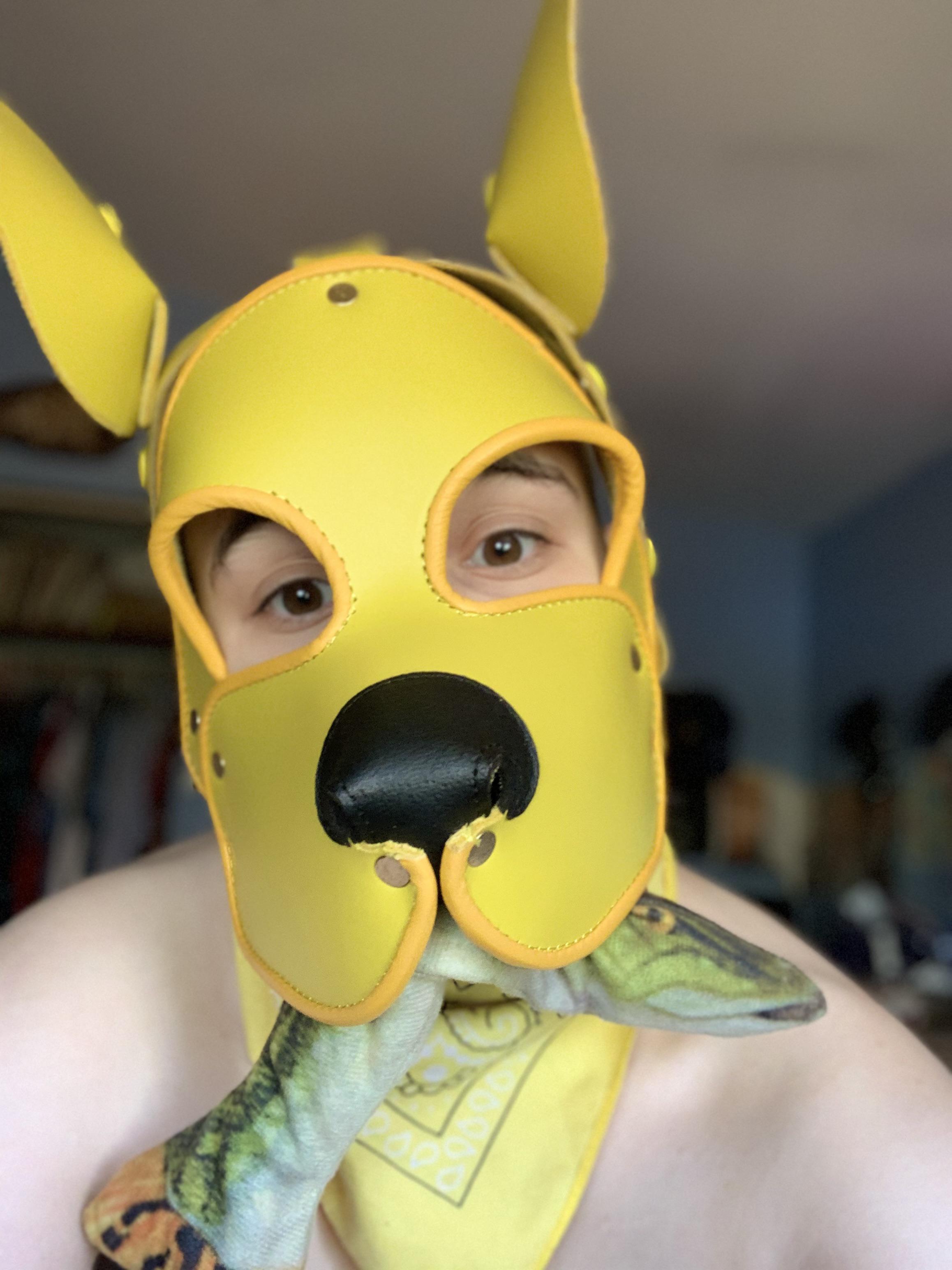 I got fish for you 🥺🥺 | Scrolller