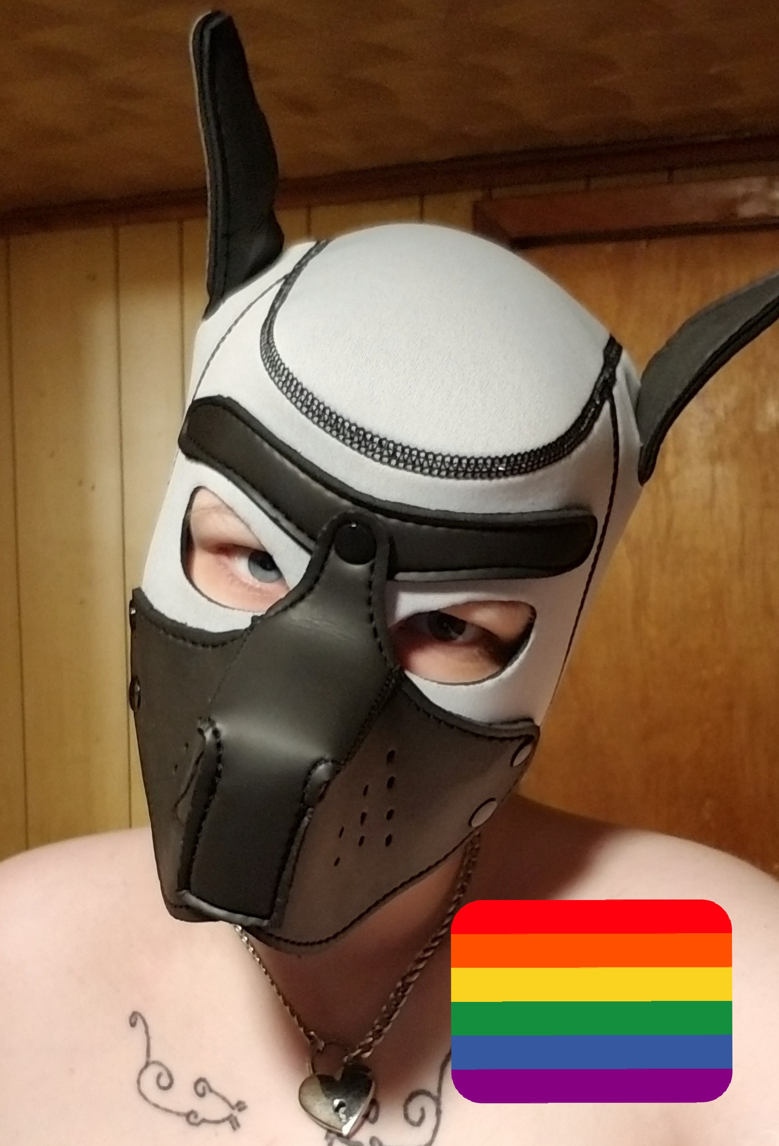 I got my first hood! | Scrolller