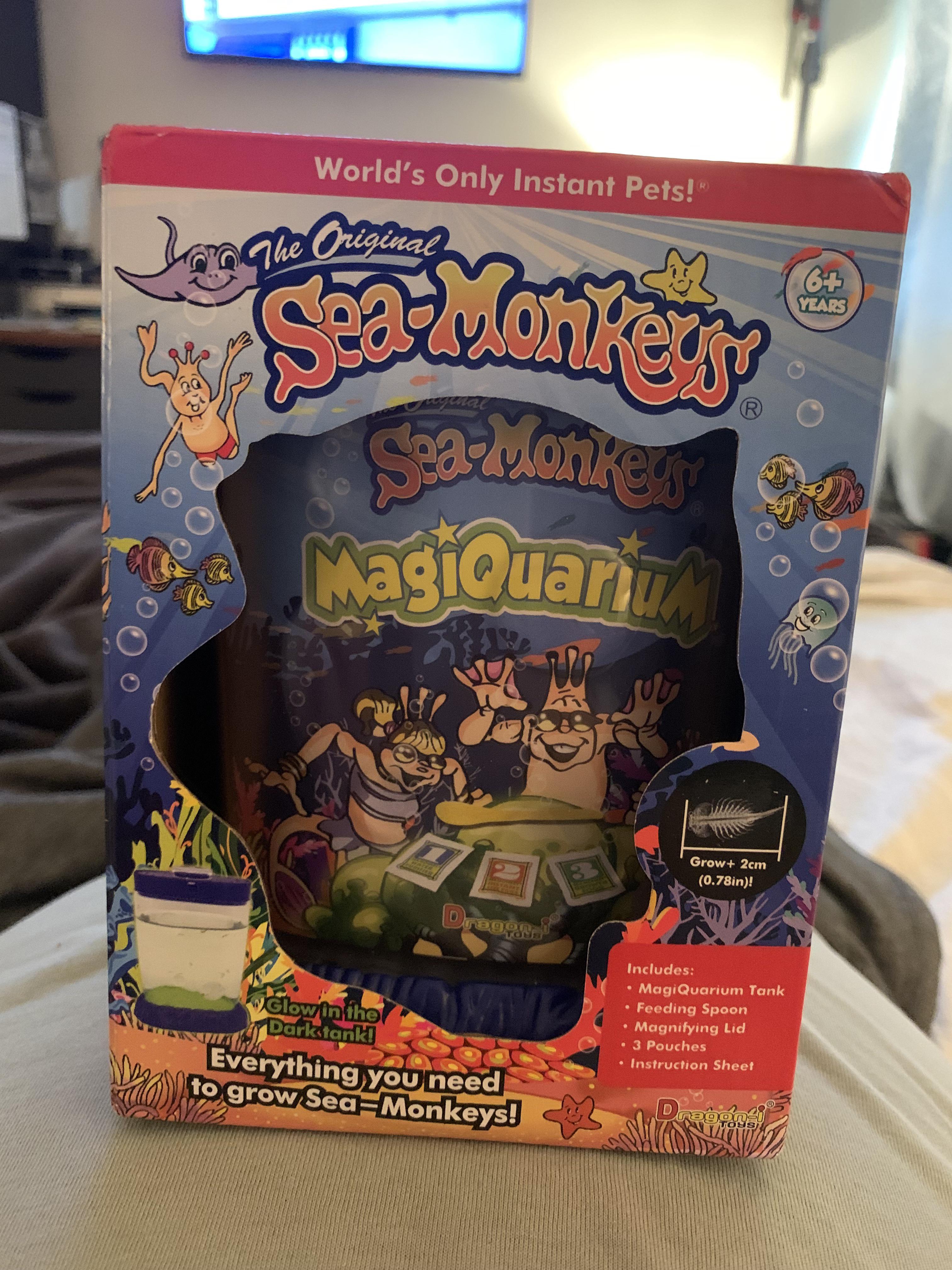 I got Sea Monkeys! Anyone remember these things? | Scrolller