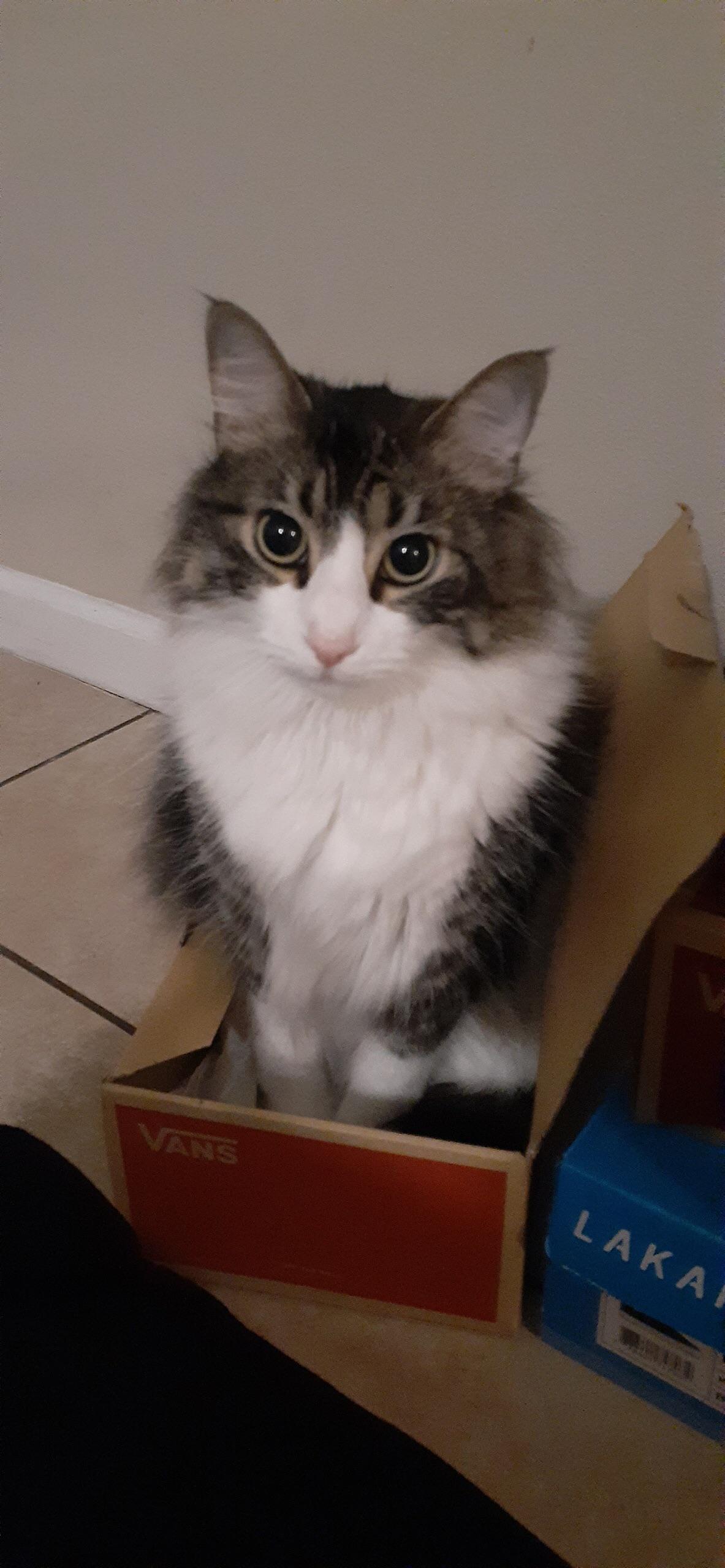 I guess this trap wasn’t too small. | Scrolller