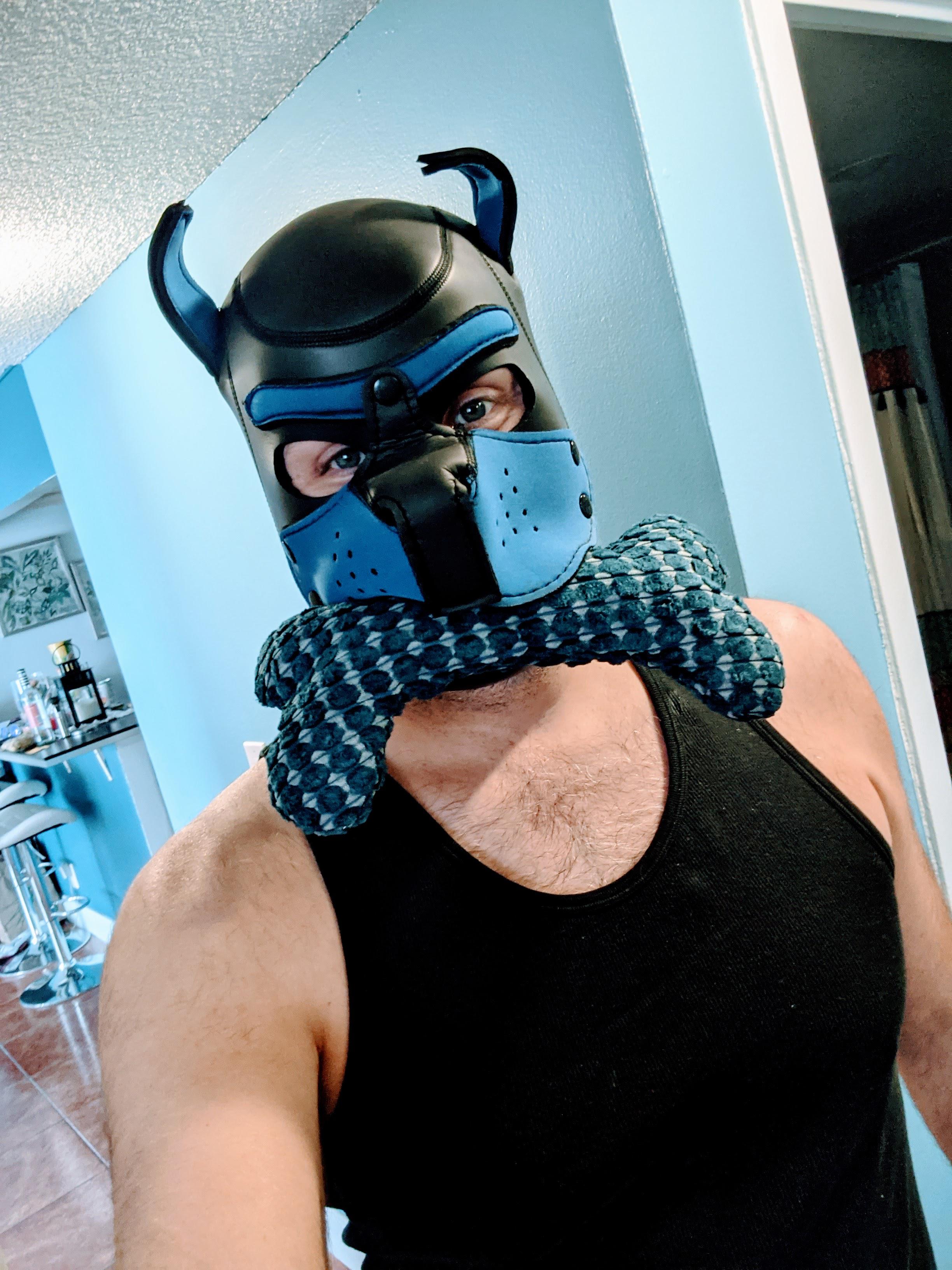 I has a bone 🦴 | Scrolller