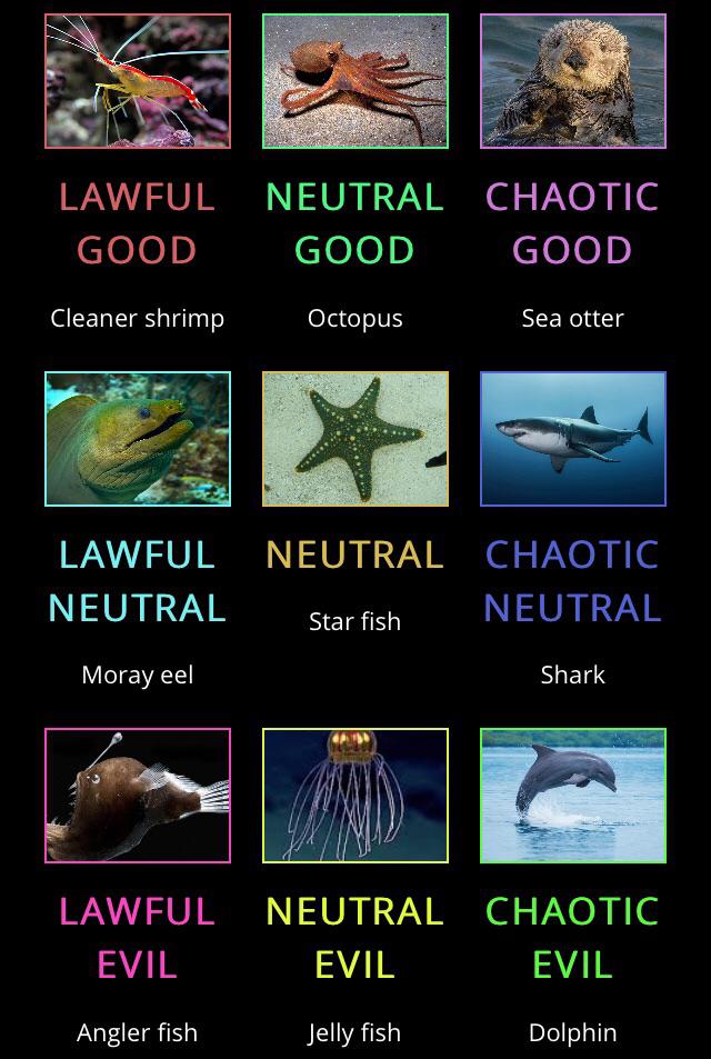 I improved my ocean animal alignment chart | Scrolller