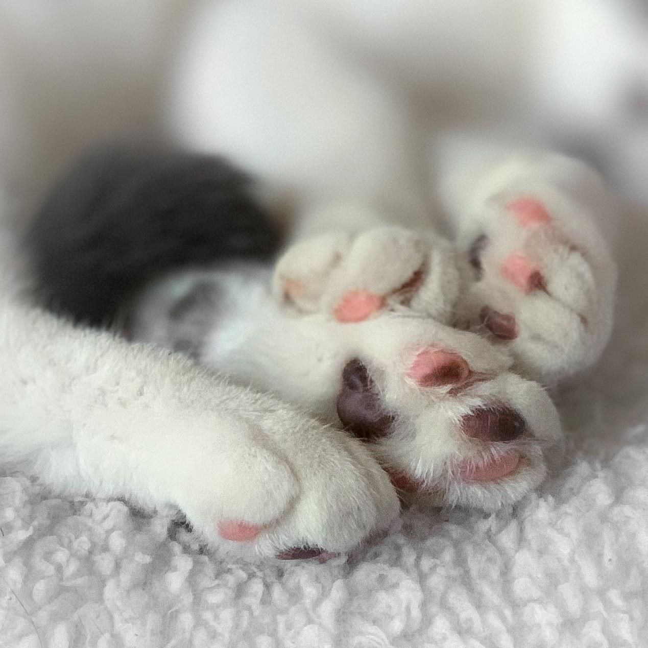 I just can't even.... | Scrolller